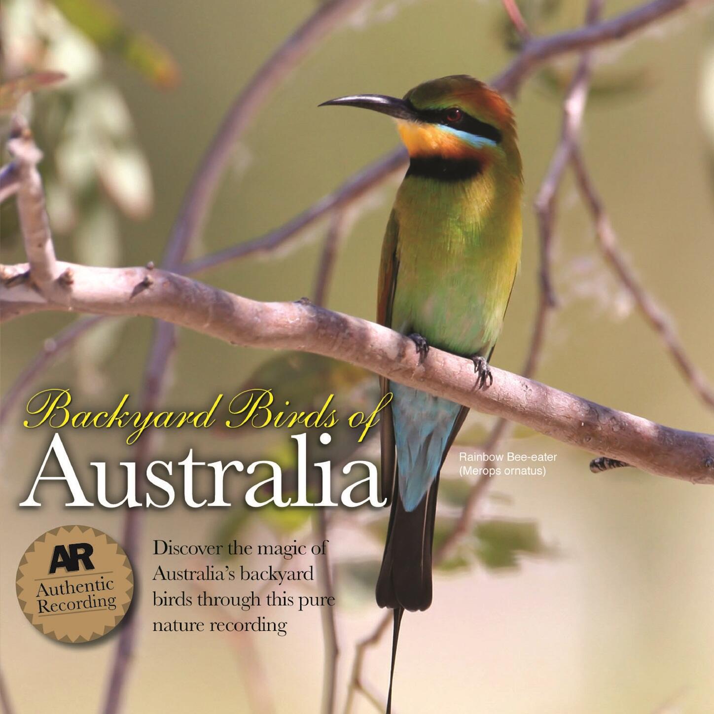 Del Richards - Backyard Birds of Australia | iHeart