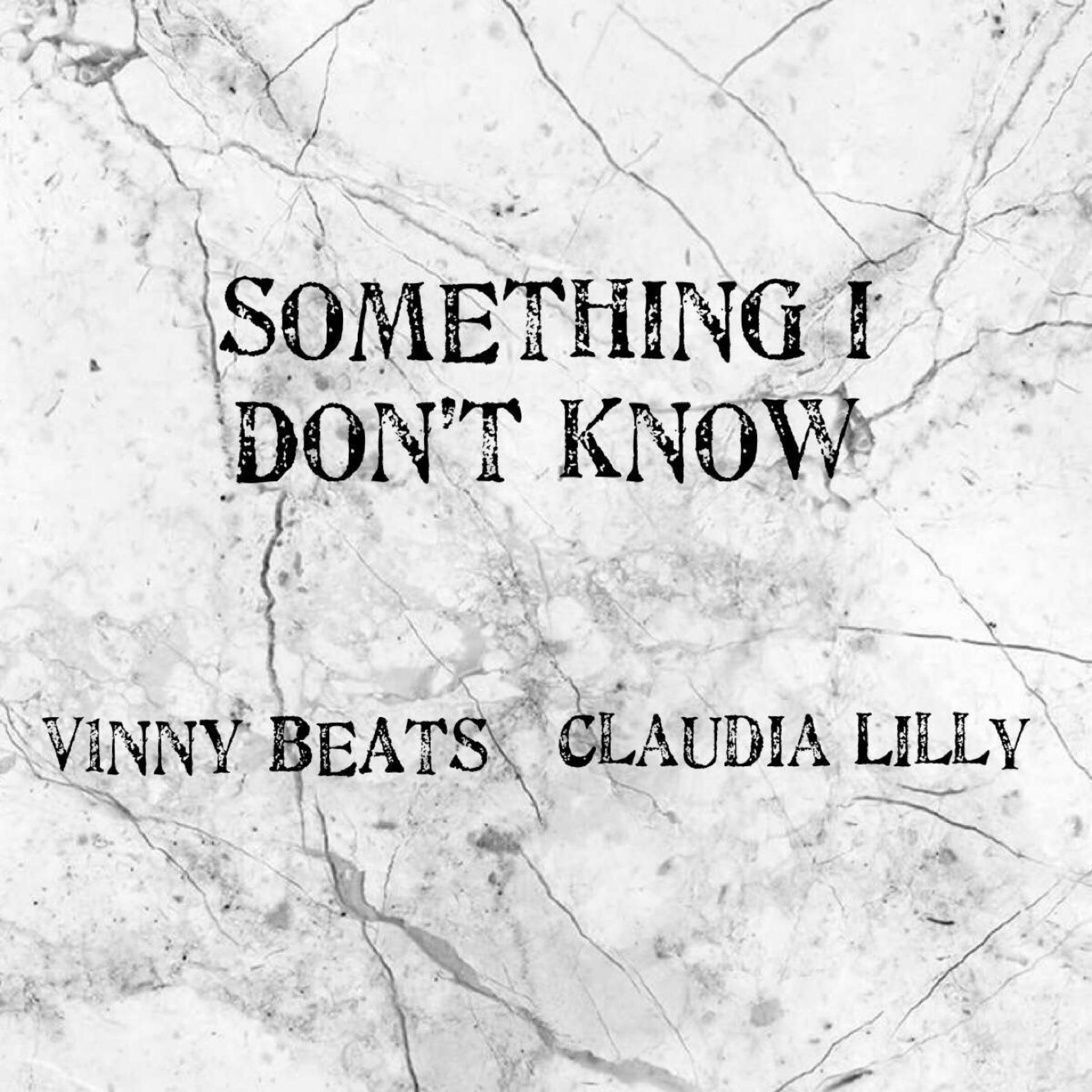V1nny_beats - Something I Don't Know (feat. Claudia Lilly) | iHeart