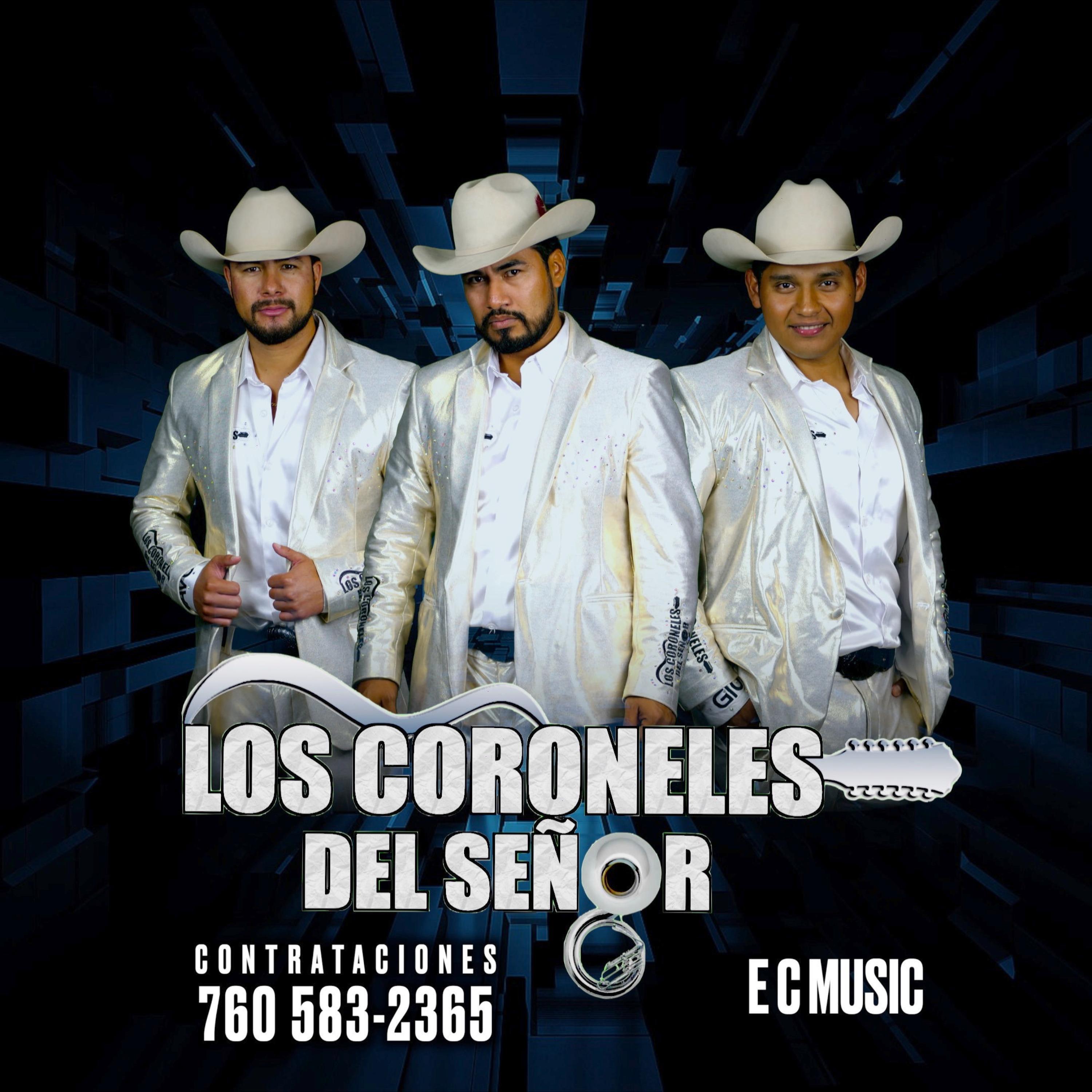 Los Coroneles Del Señor - El Corrido de Miguelito | iHeart