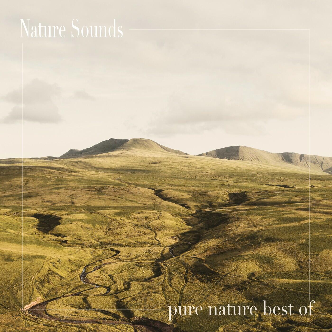 Nature Sounds - Pure Nature Best Of | iHeart