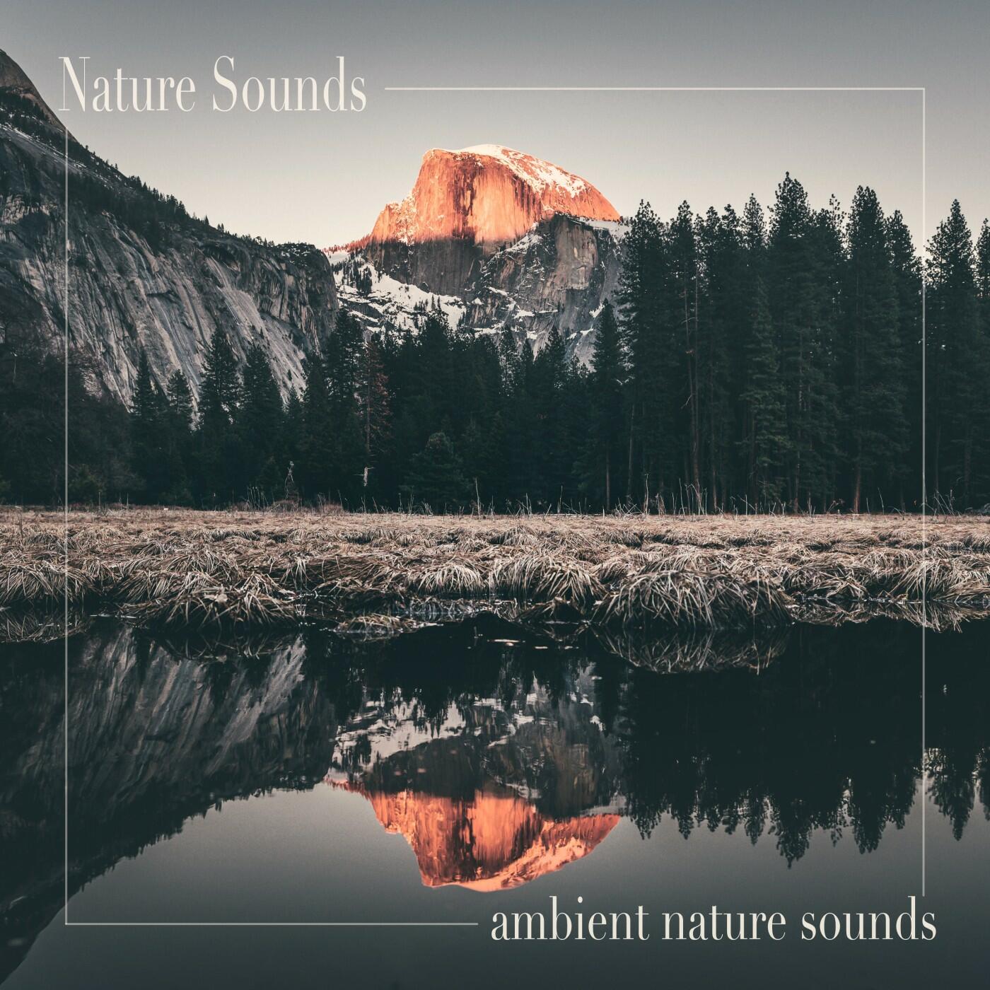 Nature Sounds - Ambient Nature Sounds | iHeart