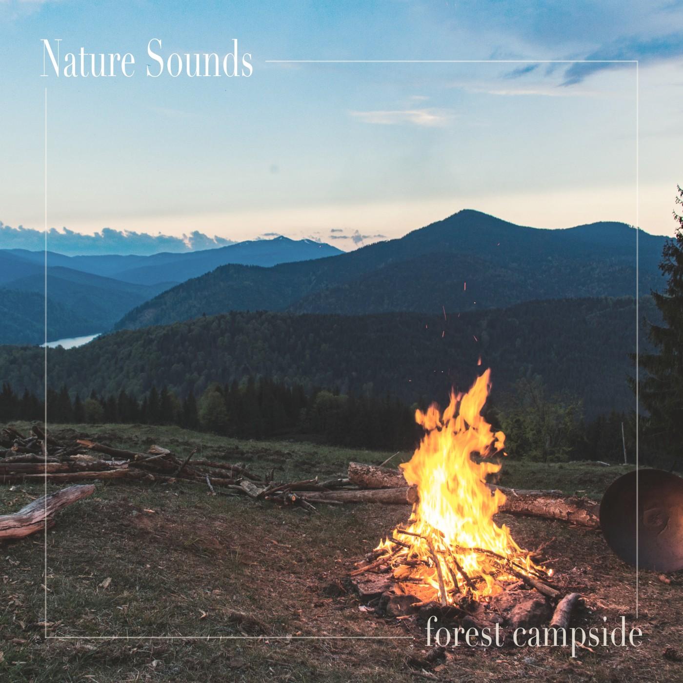 Nature Sounds - Forest Campside | iHeart