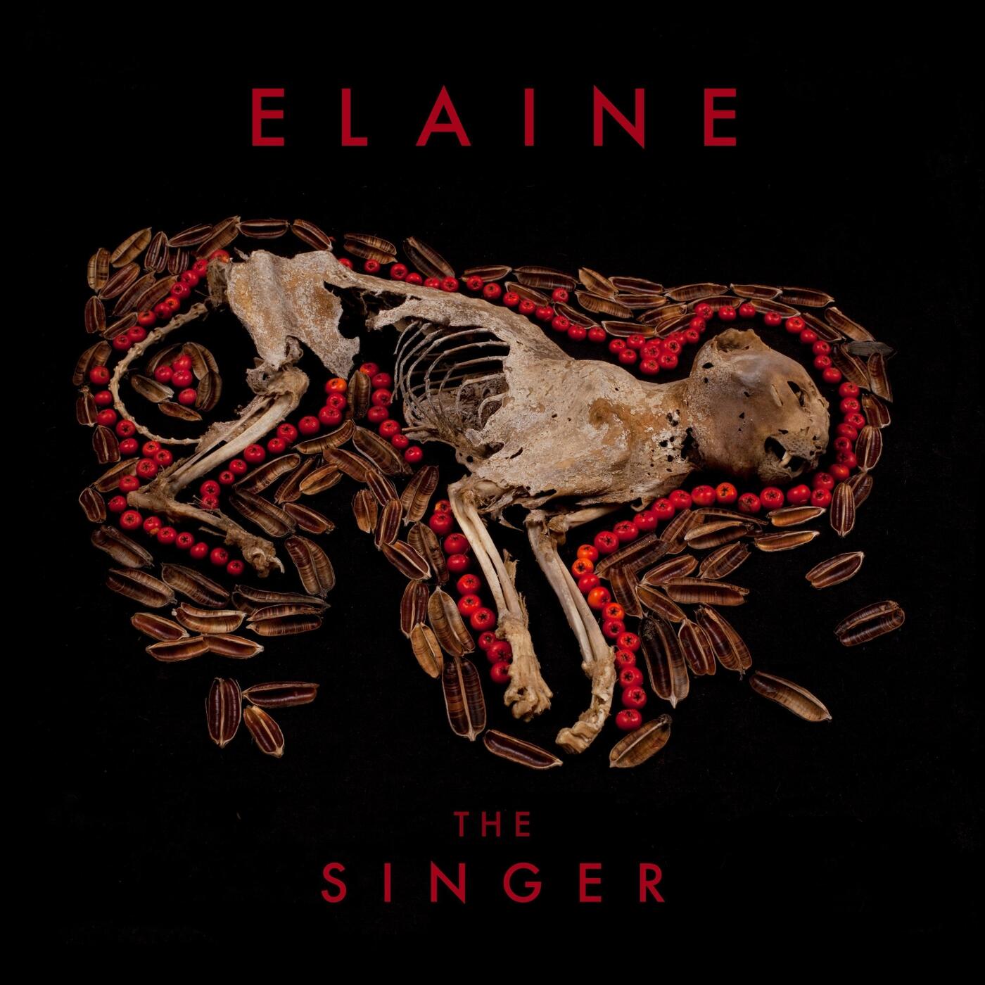 Elaine the Singer - Elaine the Singer | iHeart