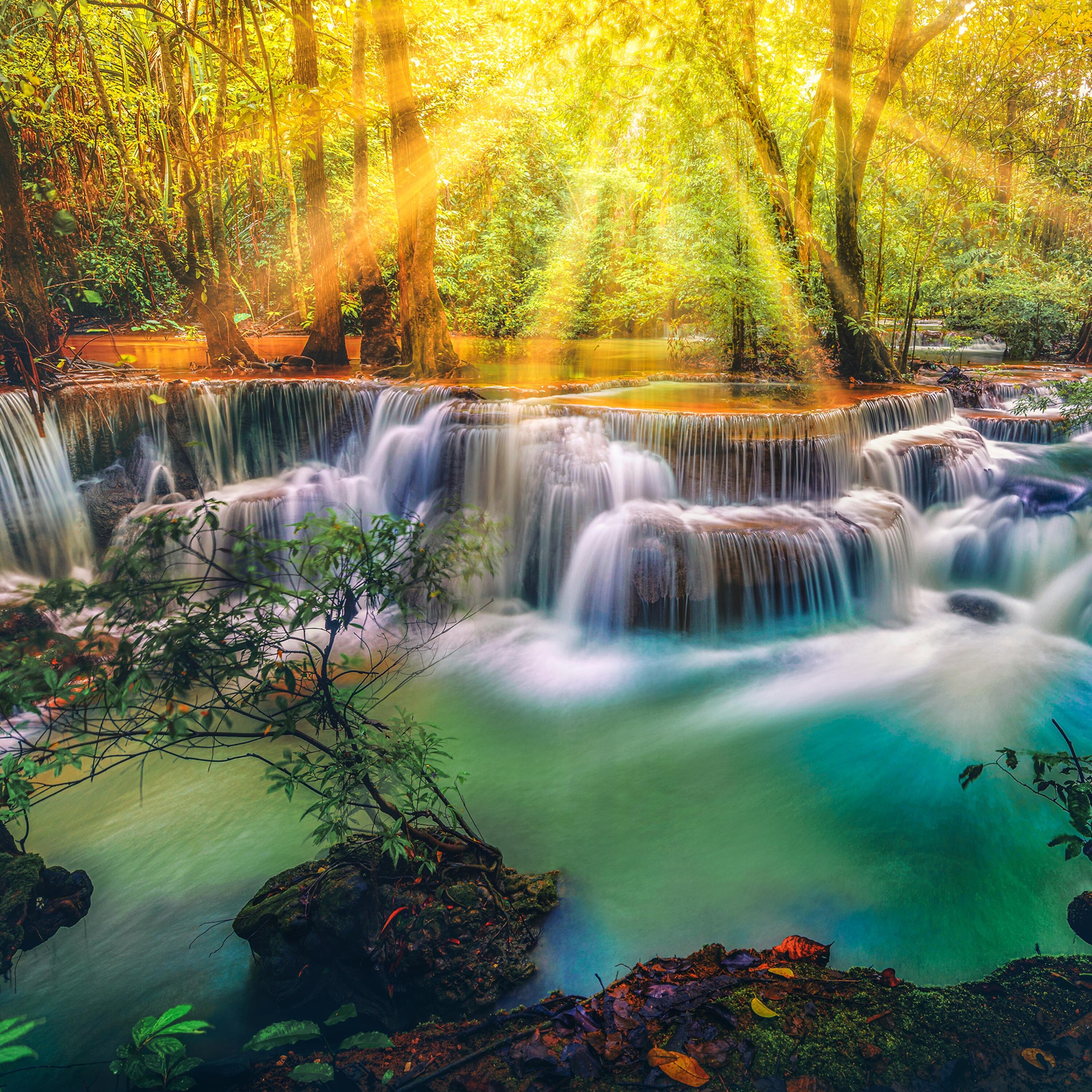 Soothing Sounds - Piano Relaxing Music (Bird Sounds) [Waterfall Sounds ...