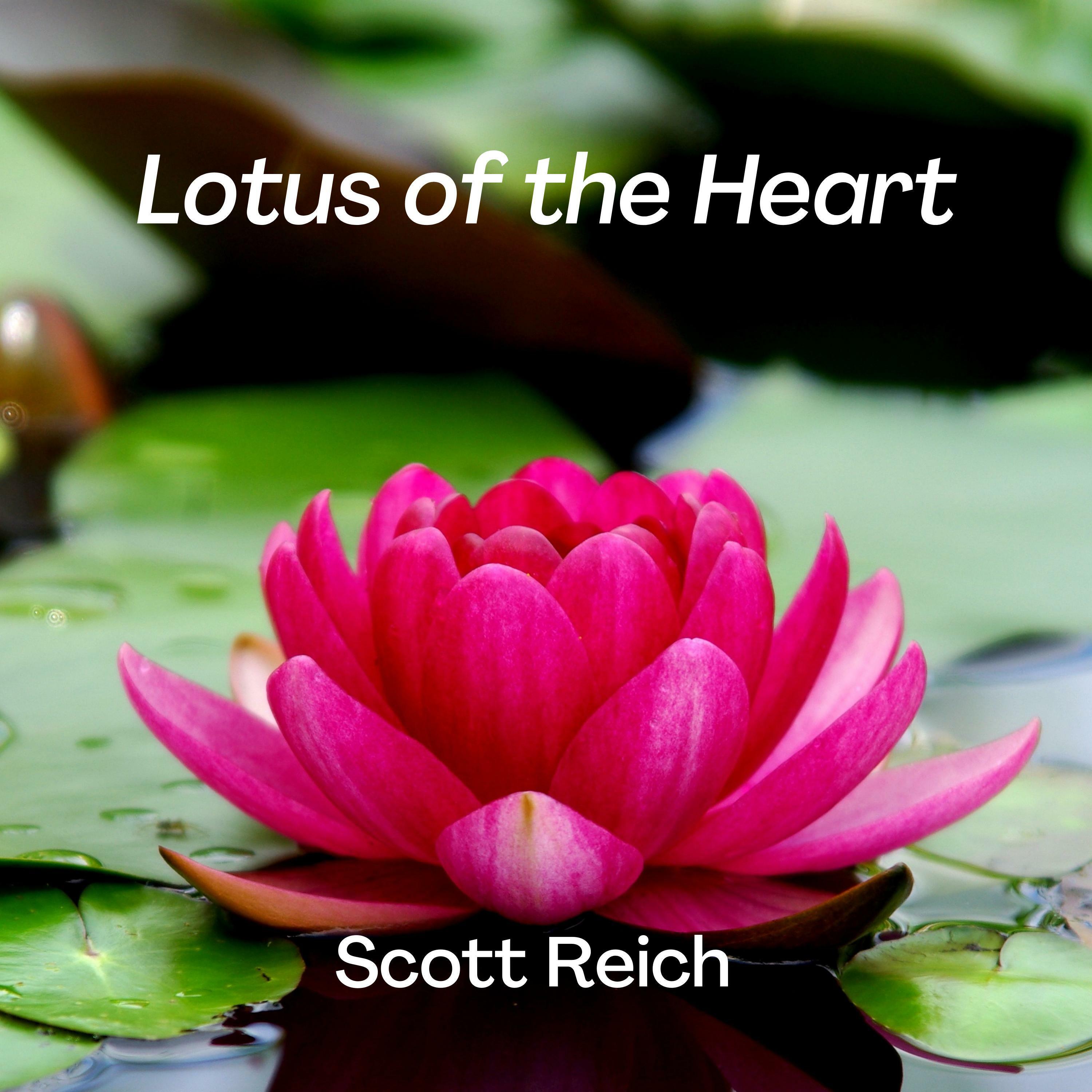 Scott Reich - Lotus of the Heart | iHeart