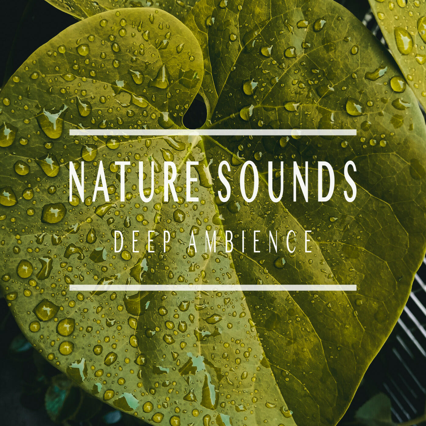 Nature Sounds - Deep Ambience | iHeart