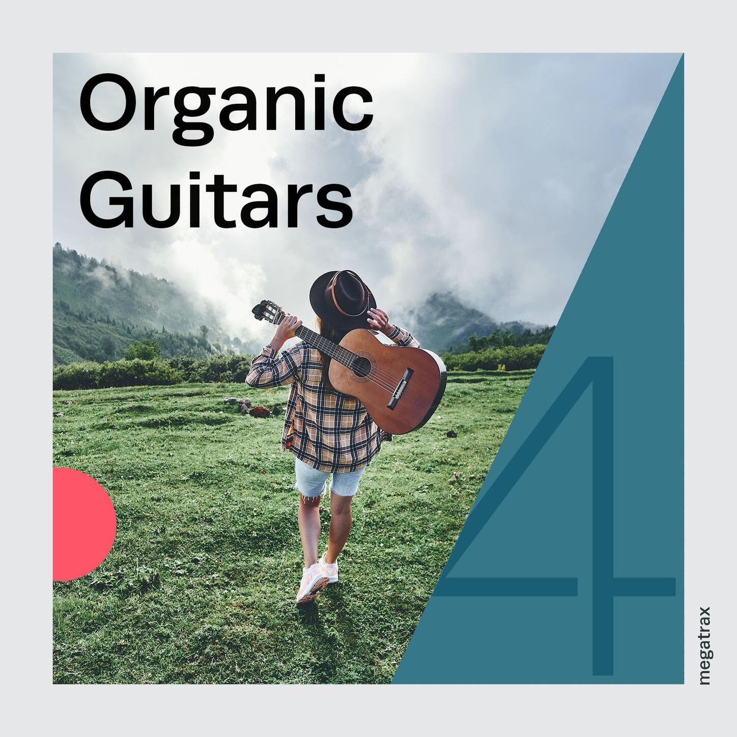 George Jeffrey Doering & John Carlo Dwyer - Organic Guitars, Vol. 4 ...