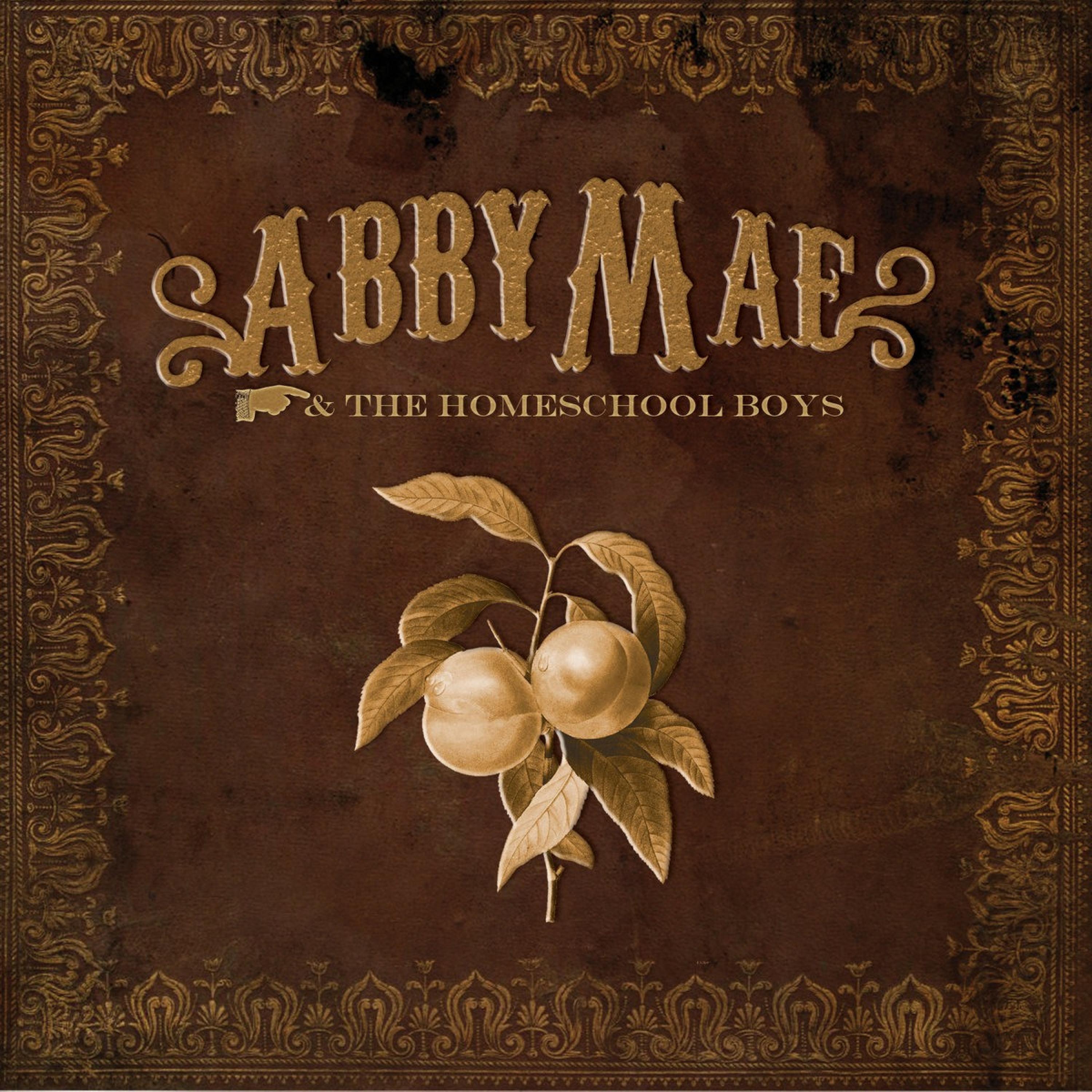 Abby Mae and the Homeschool Boys - Abby Mae and the Homeschool Boys ...