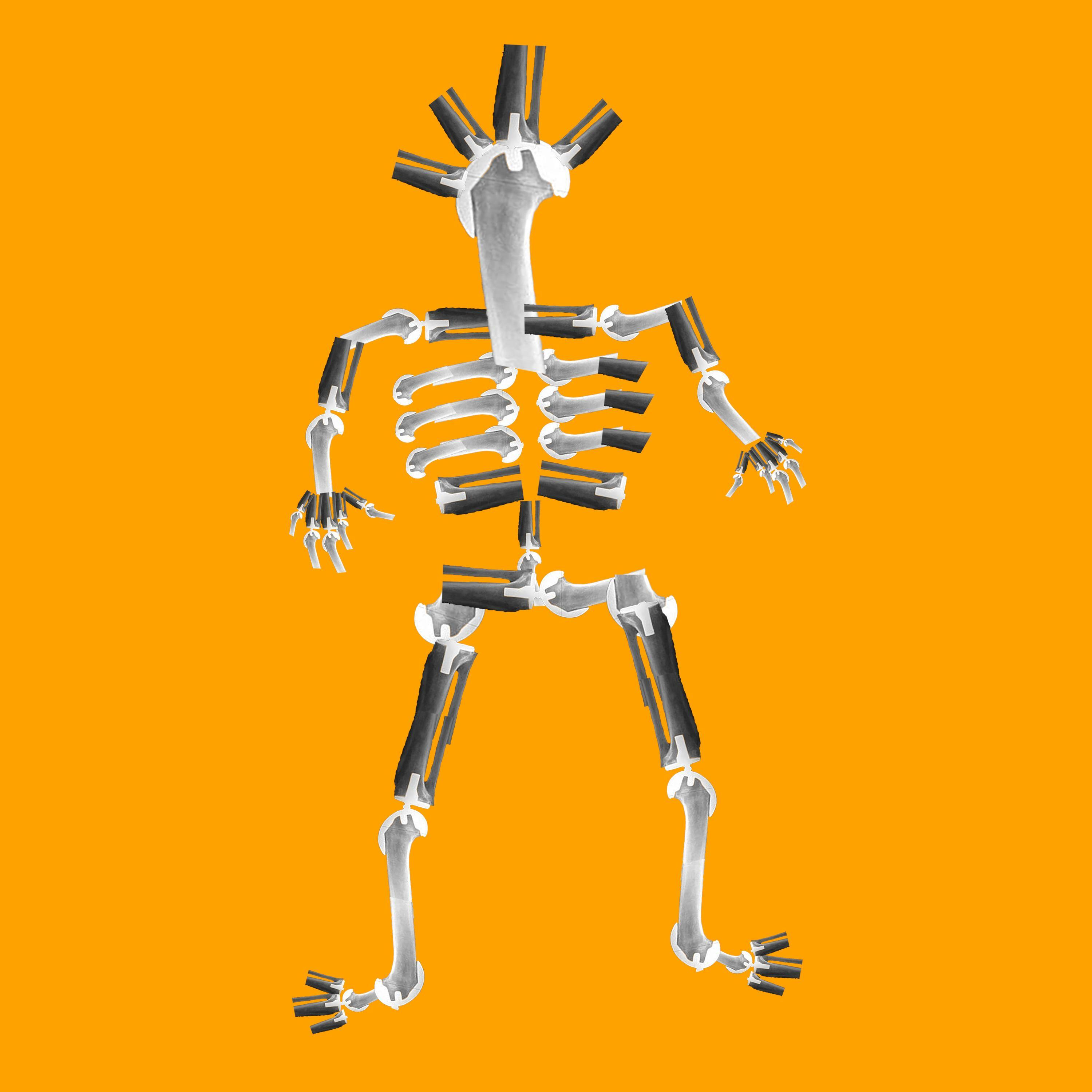 Deasil and Withershins - Skeletons of Science | iHeart