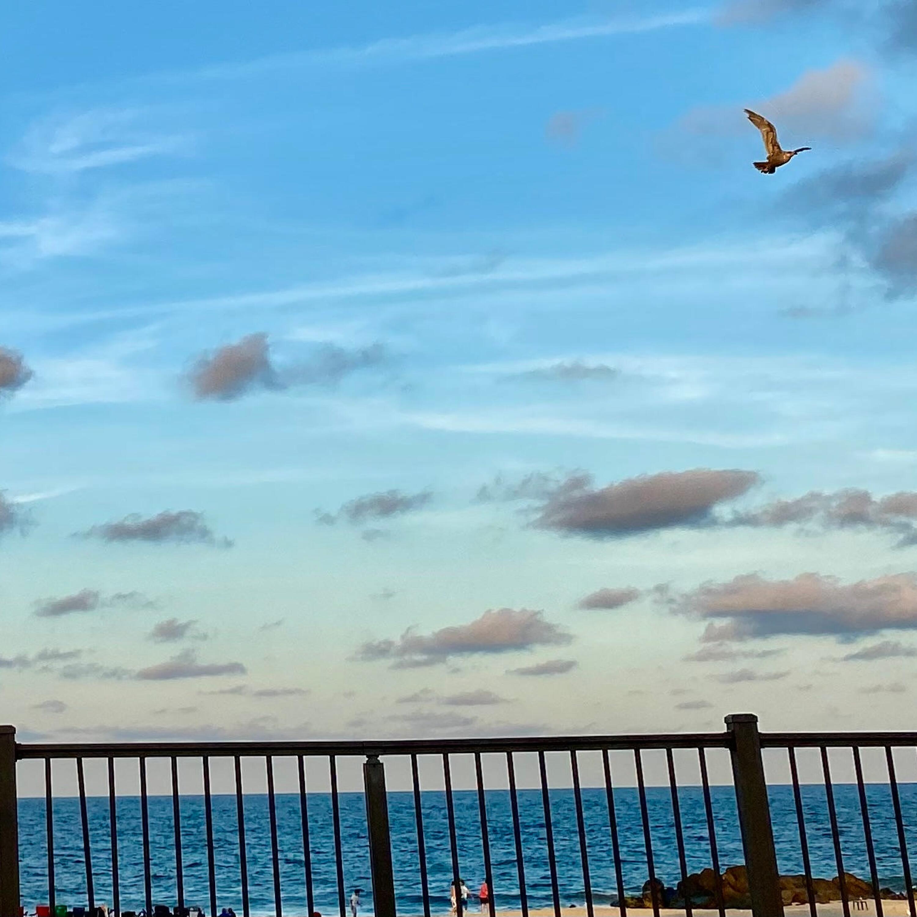 Novadose - Can't Stop My Shine | iHeart