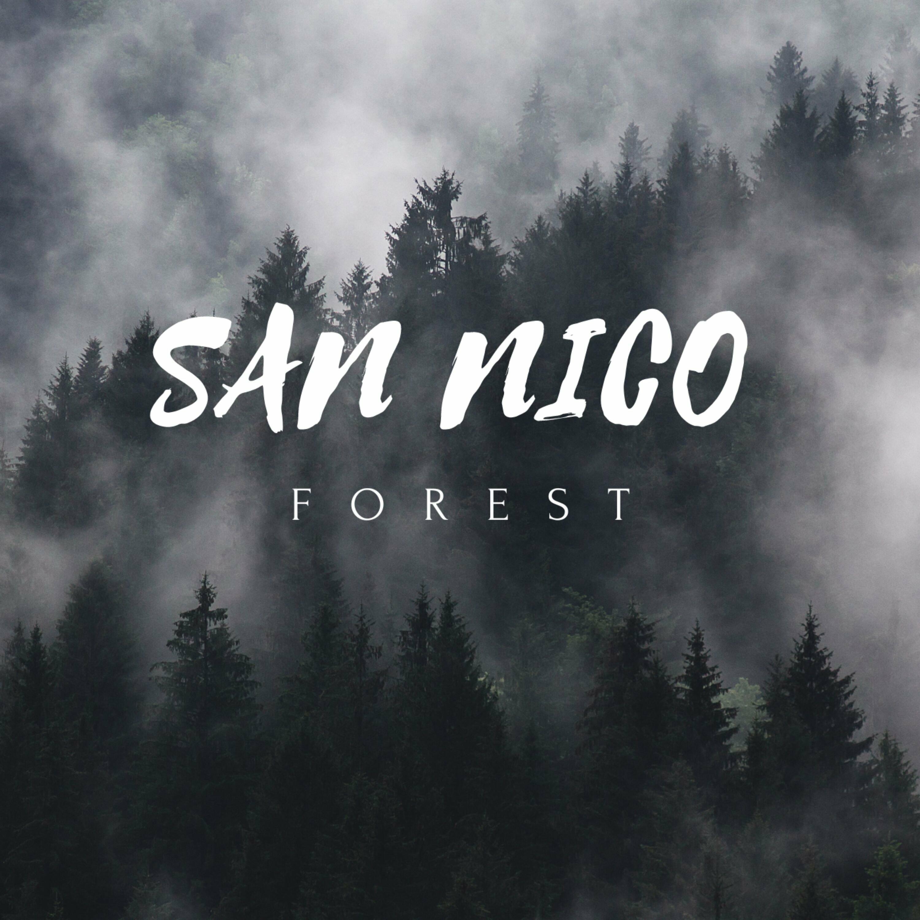 San Nico - Forest | iHeart