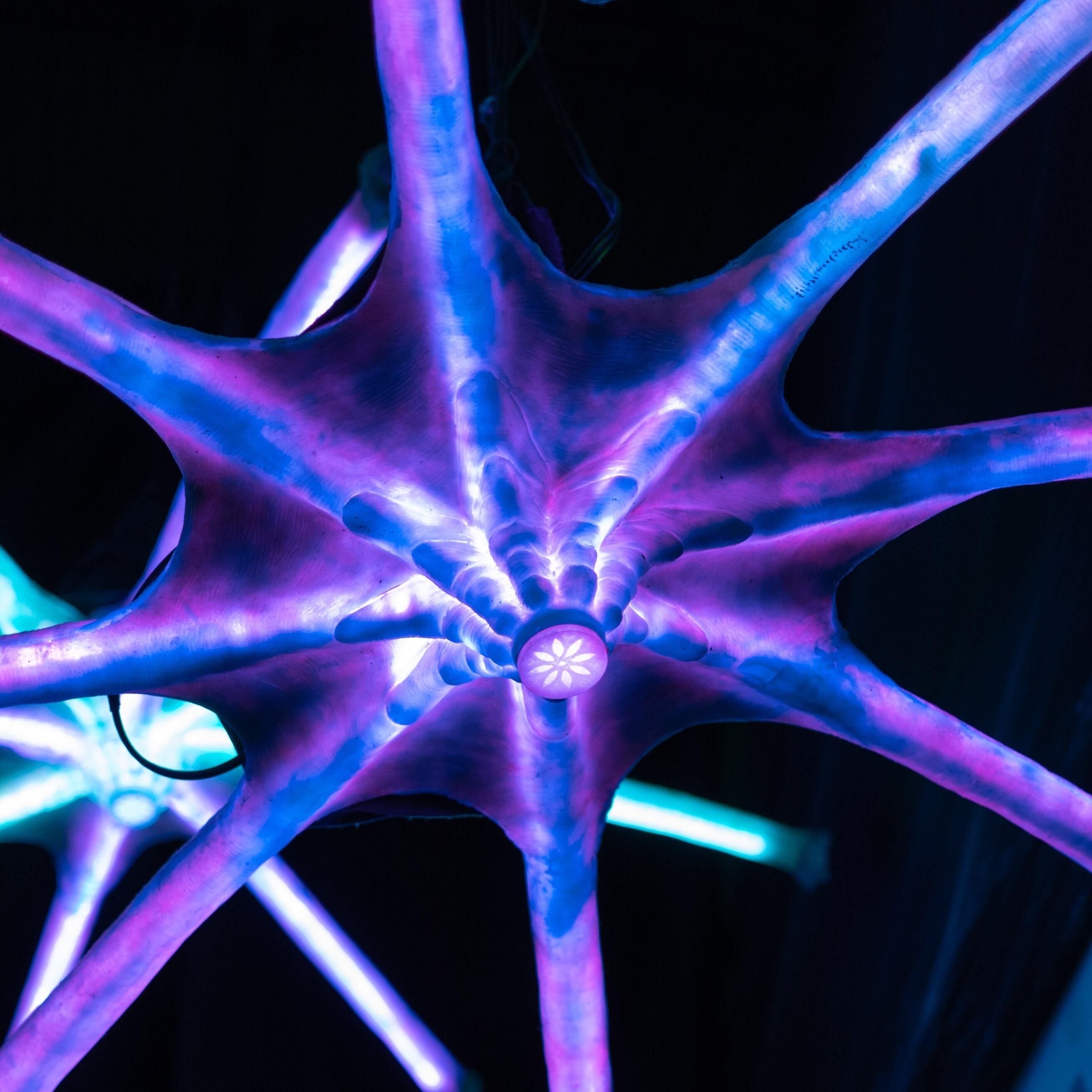 VT DO POSTO - Igual Terremoto | iHeart