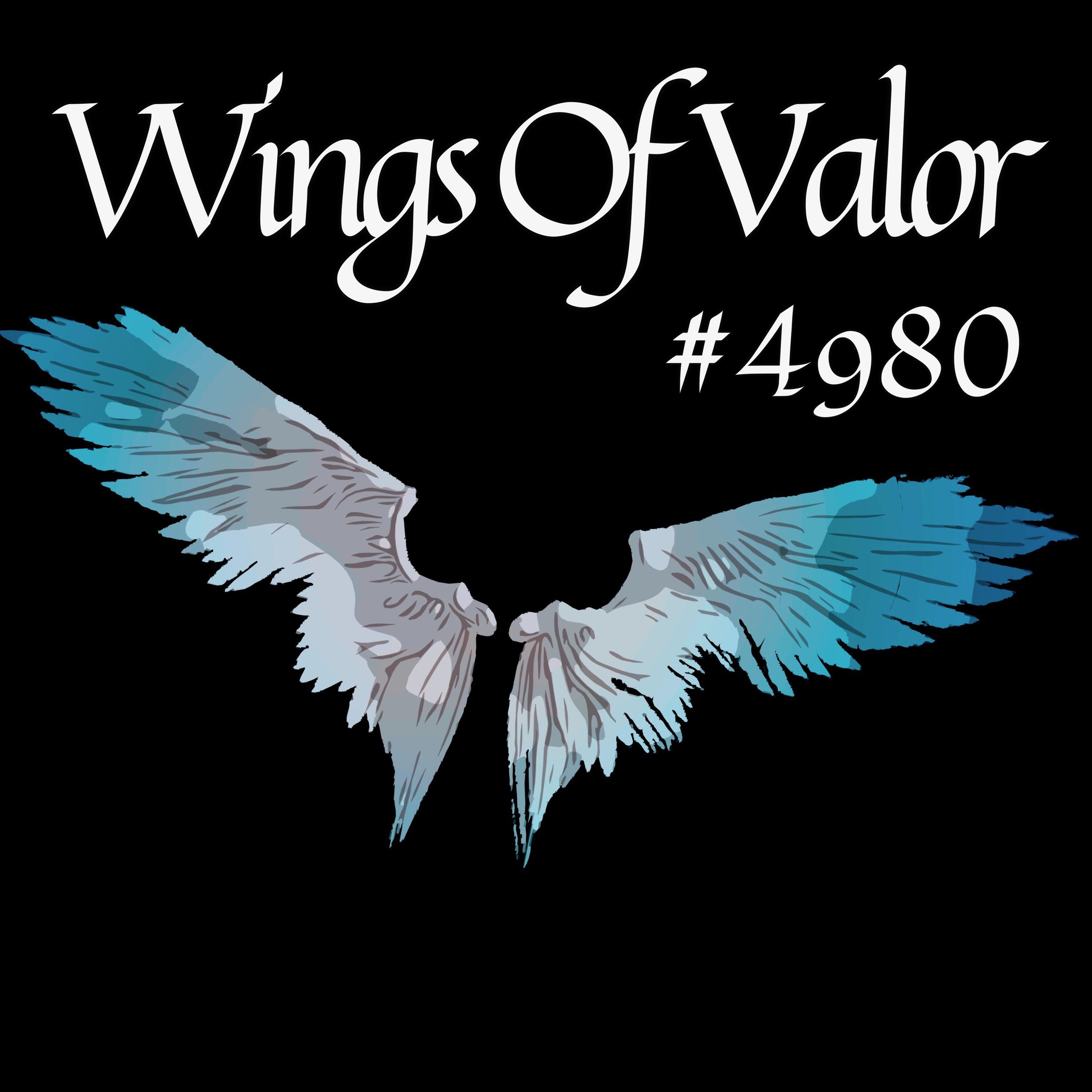 Wings Of Valor - #4980 | iHeart