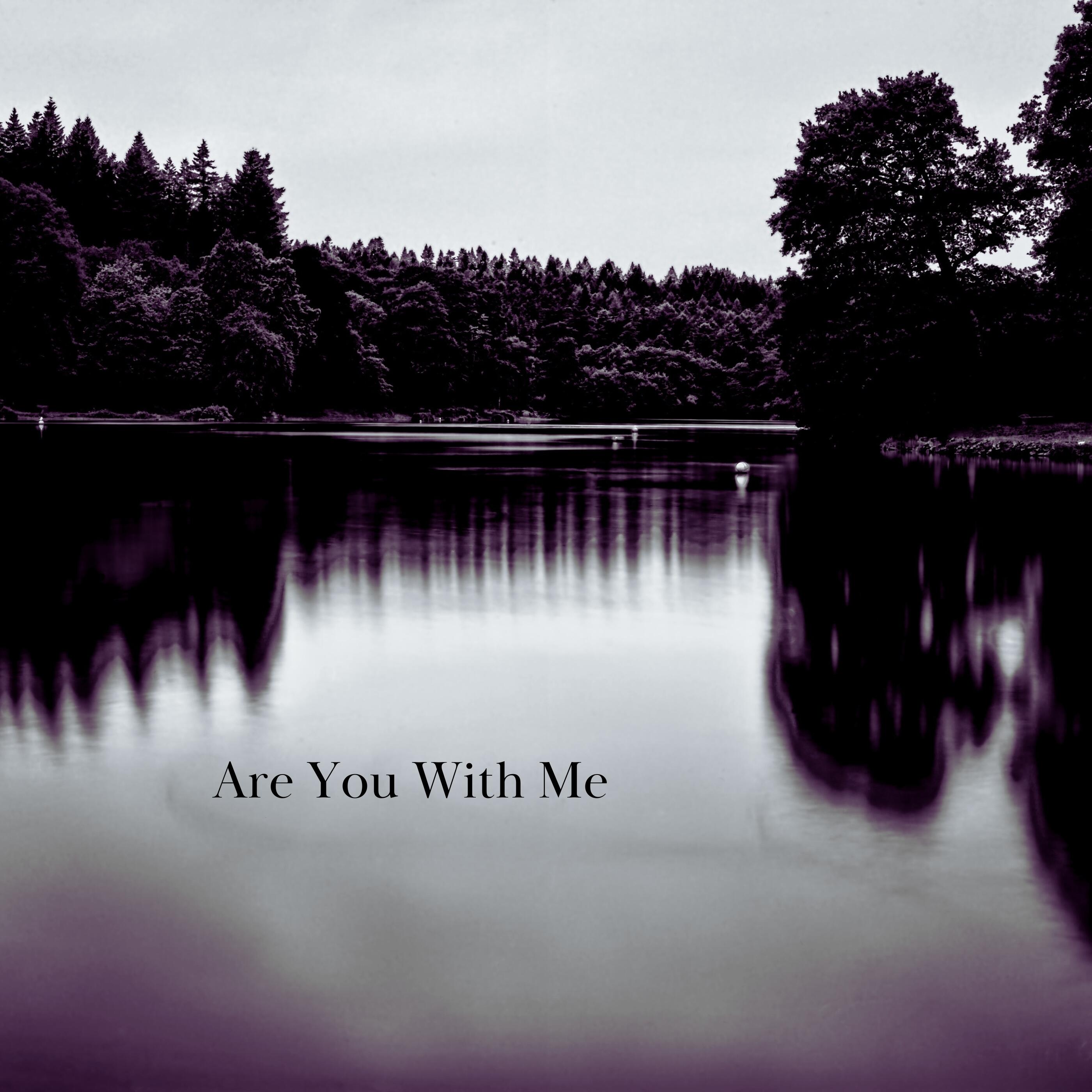 Lisa Helmer - Are You With Me | iHeart