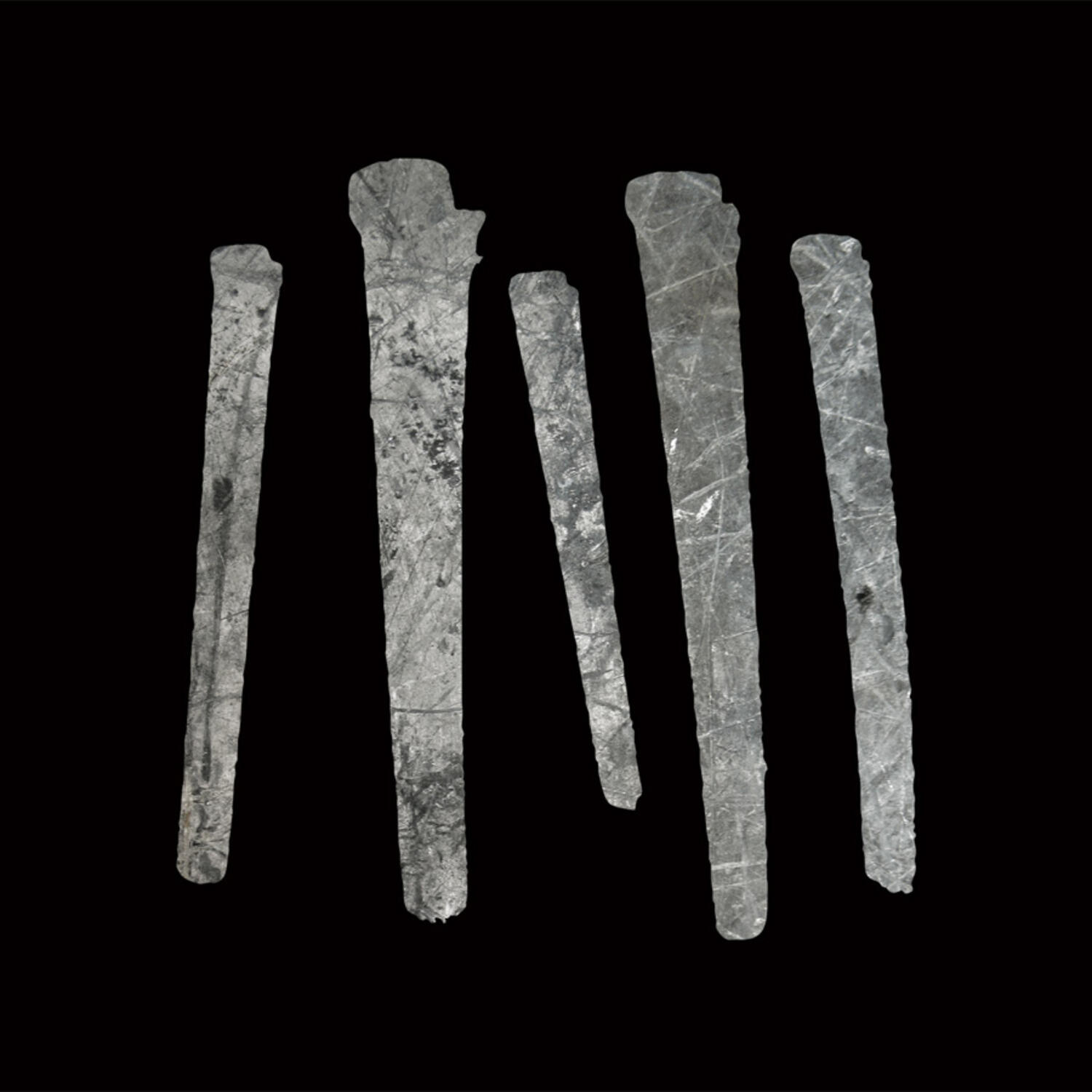 Anatomy Of Habit - Anatomy Of Habit | iHeart