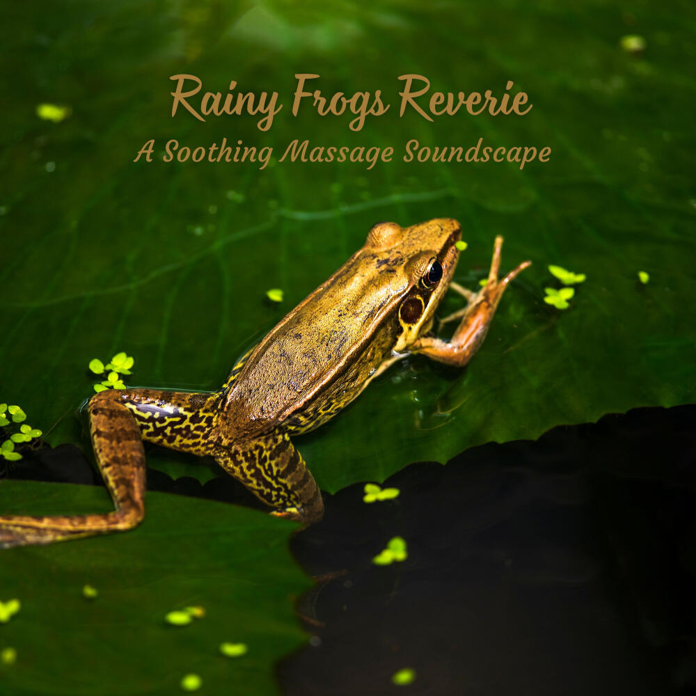 Rain Storm Sounds - Rainy Frogs Reverie: A Soothing Massage Soundscape ...