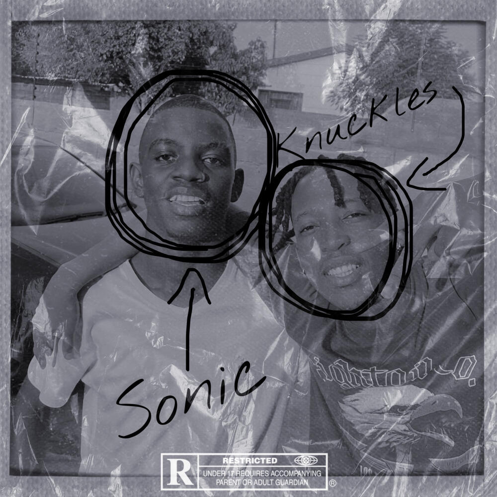 Protocol Killic The Story Of Sonic And Knuckles Iheart