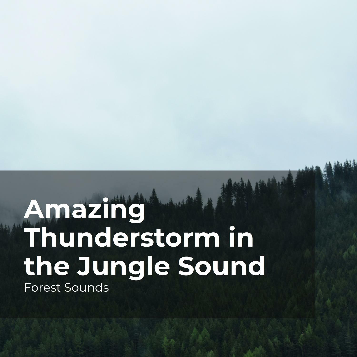 Forest Sounds - Amazing Thunderstorm in the Jungle Sound | iHeart