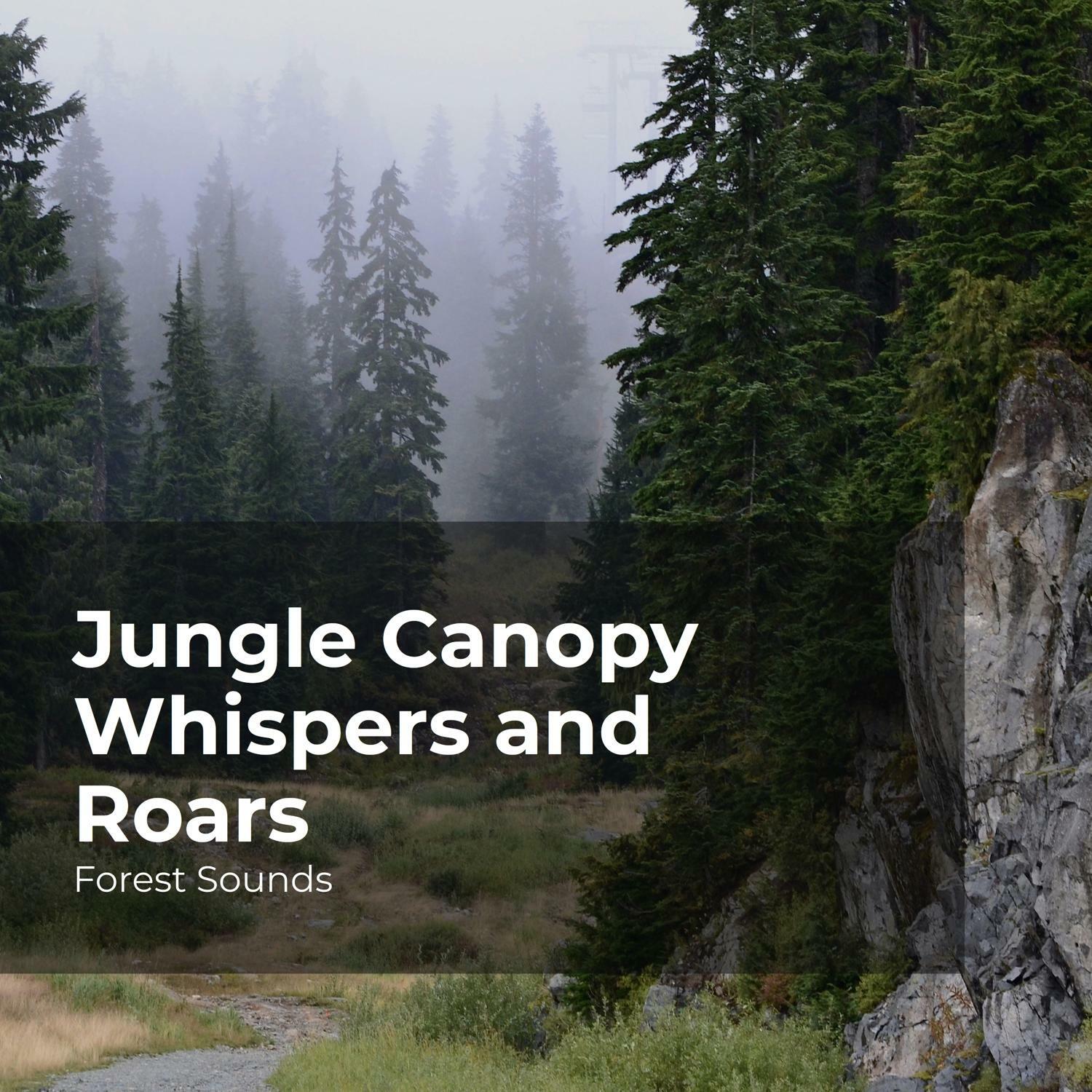 Forest Sounds - Jungle Canopy Whispers and Roars | iHeart