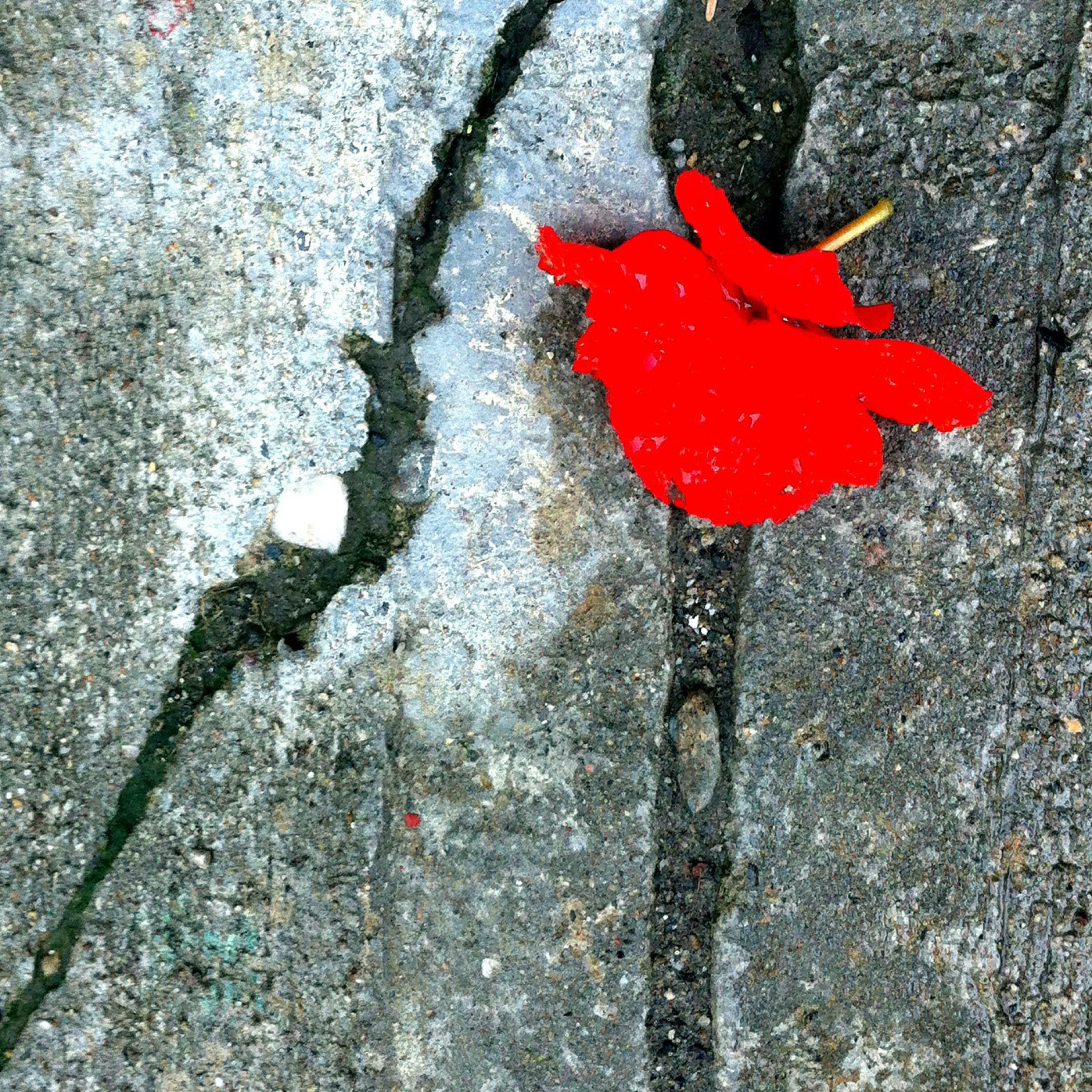 Charles Wilkinson - Grace Street | iHeart