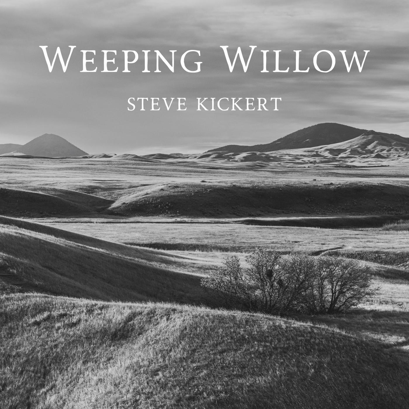 Steve Kickert - Weeping Willow | iHeart