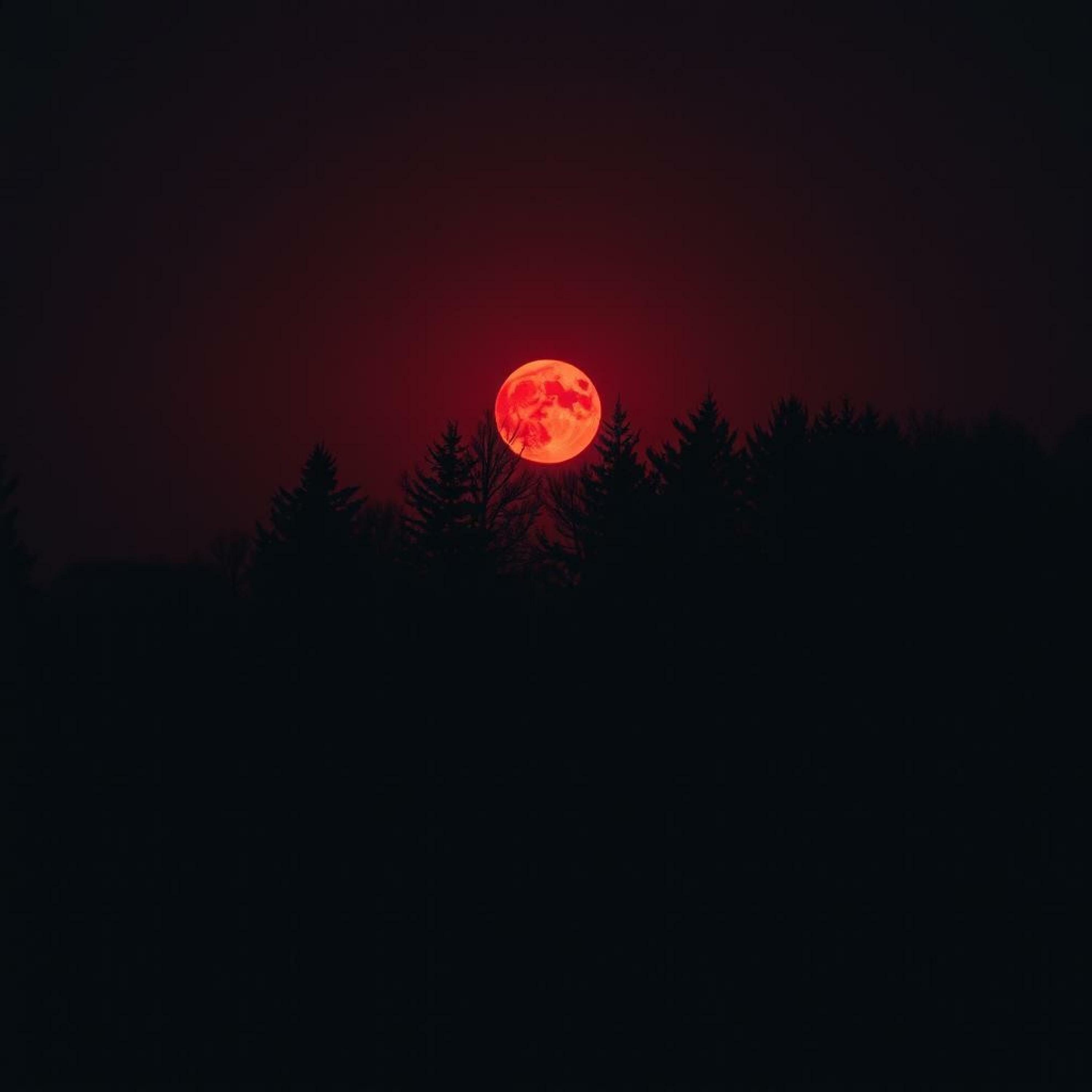 Louise & Thom Hartmann - History’s Darkest Echo | iHeart