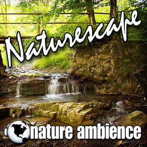 Nature Ambience - Naturescape (Nature Sounds) | iHeart