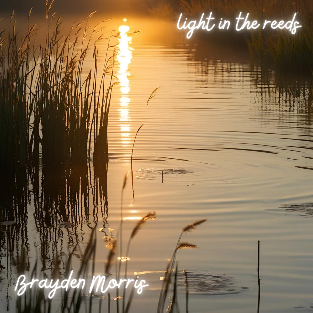 Brayden Morris - light in the reeds | iHeart