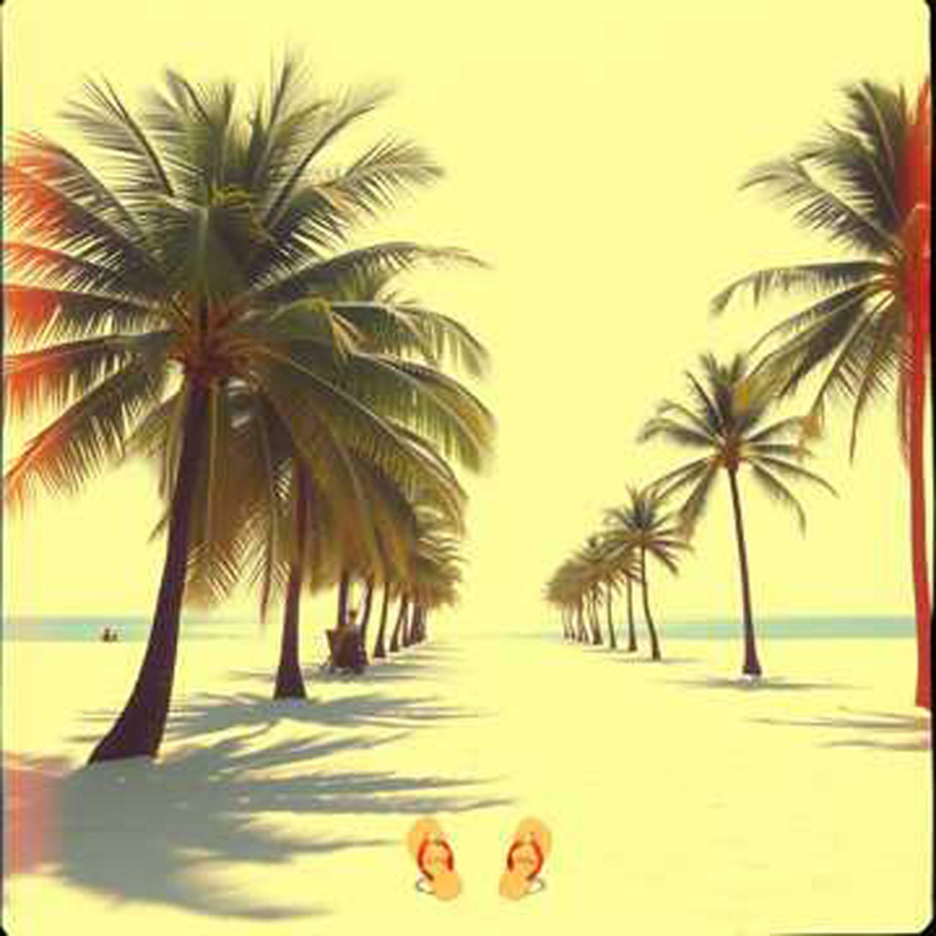 James H Pelletier - Florida State of Mind | iHeart