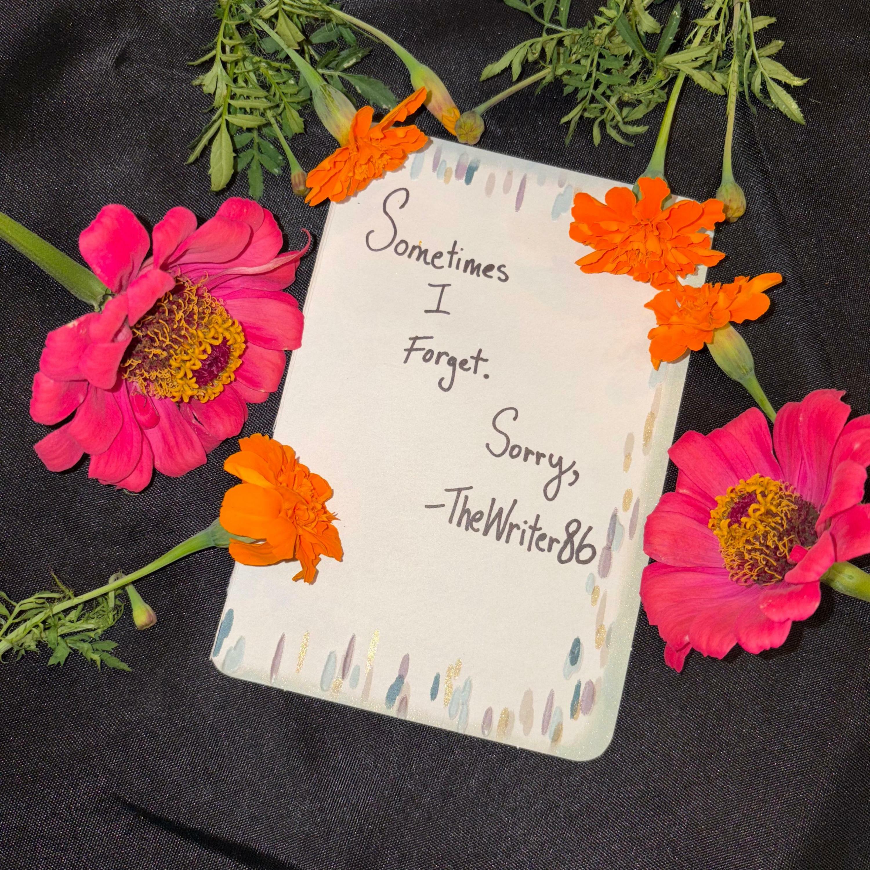 TheWriter86 - Sometimes I Forget | iHeart