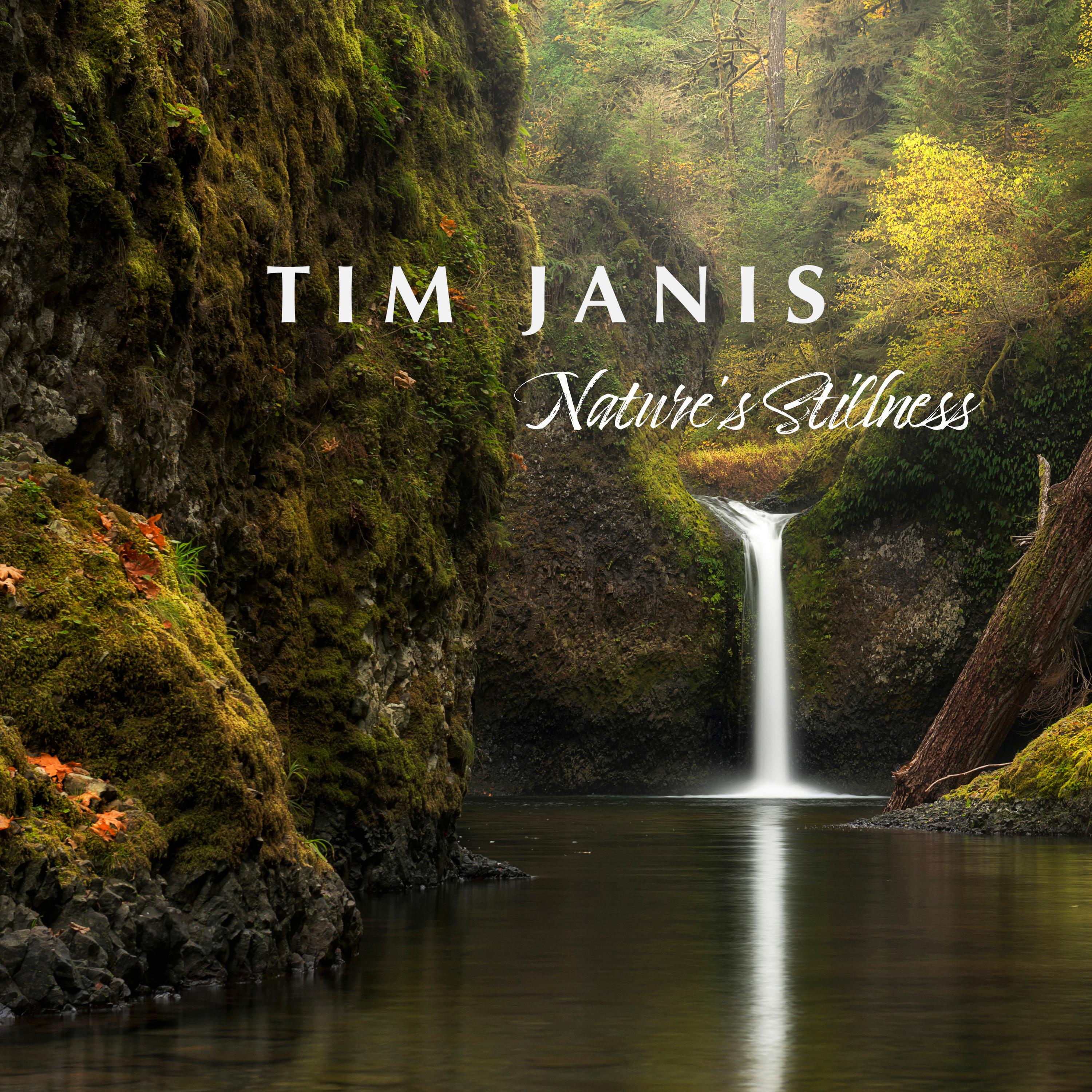 Tim Janis - Nature's Stillness | iHeart
