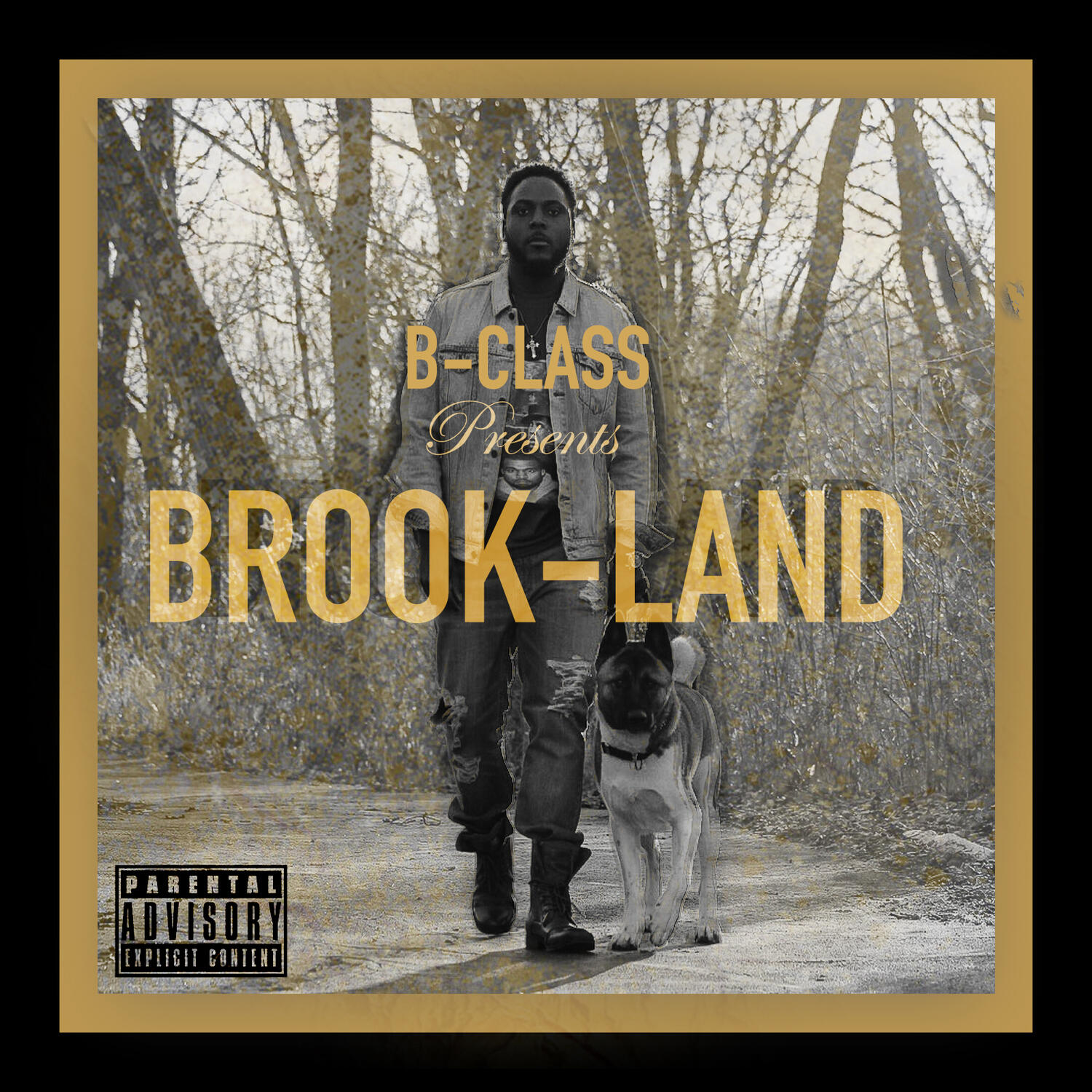 B-Class - Brook-Land | iHeart