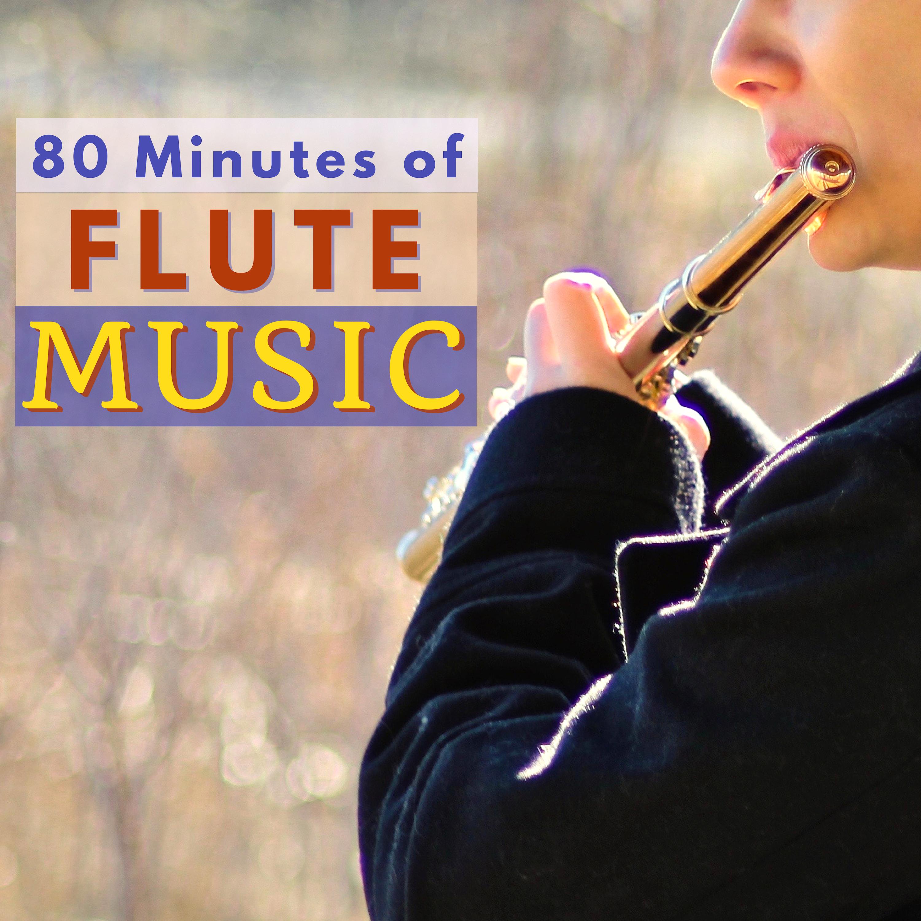 Flute Music Specialists - 80 Minutes of Flute Music - Meditation Native ...