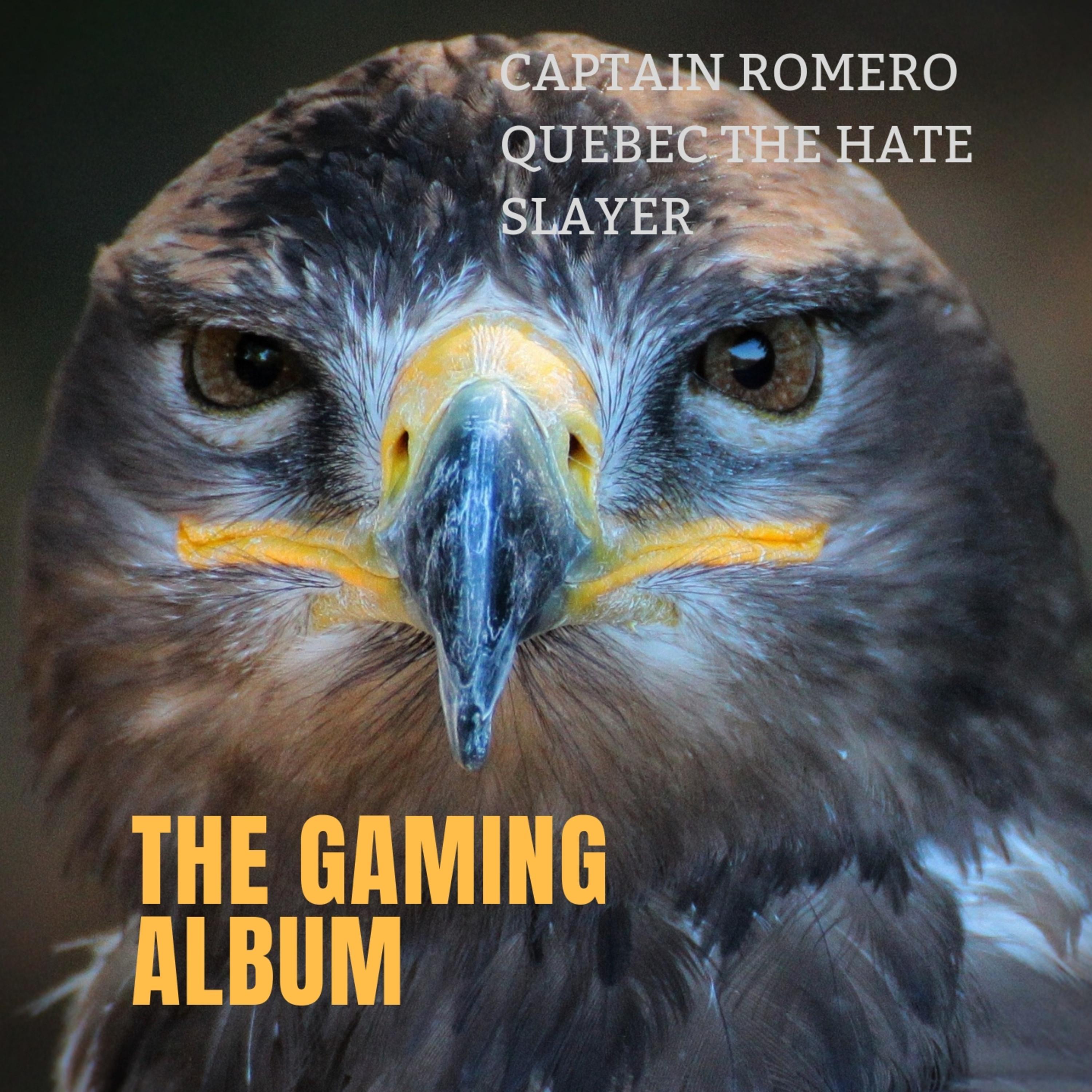 Captain Romeo Quebec the Hate Slayer - The Gaming Album | iHeart