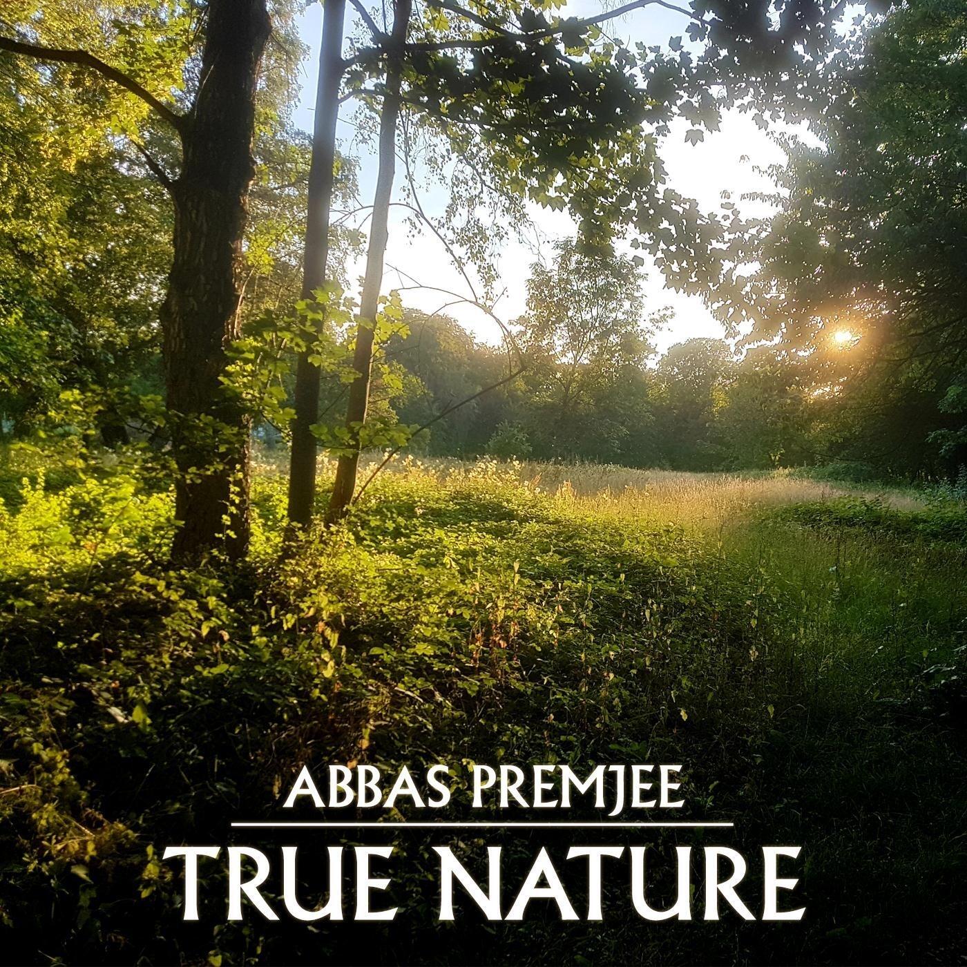 Abbas Premjee - True Nature | iHeart