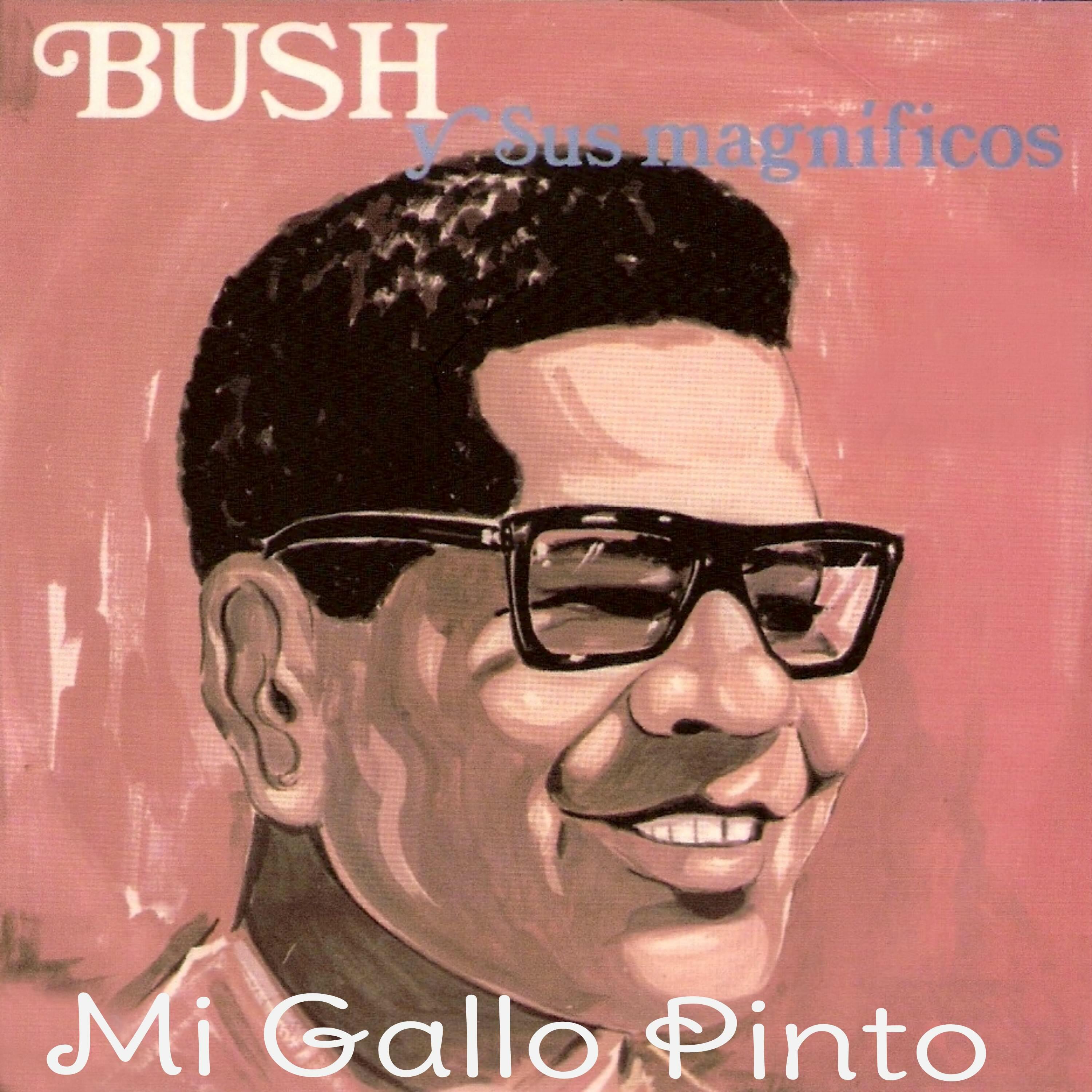 Bush Y Sus Magnificos | iHeart