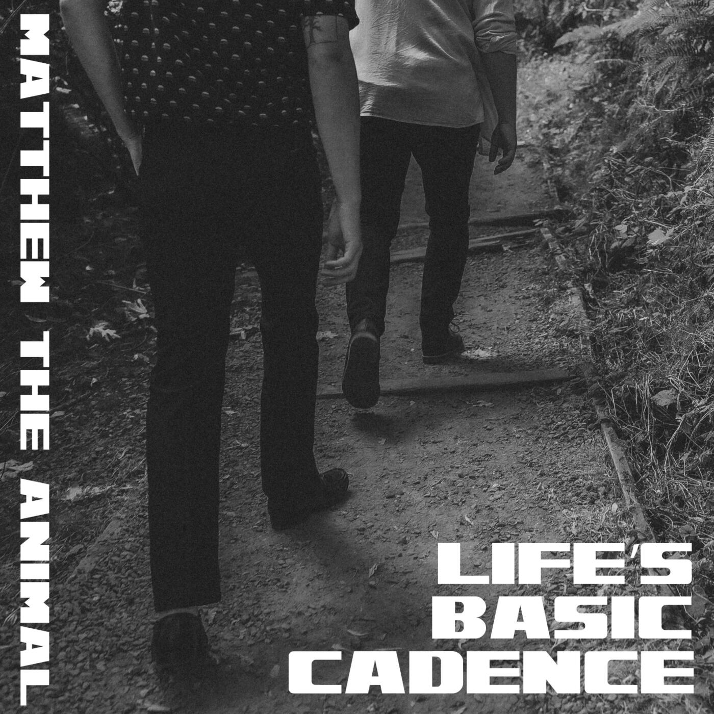 Matthew the Animal | iHeart