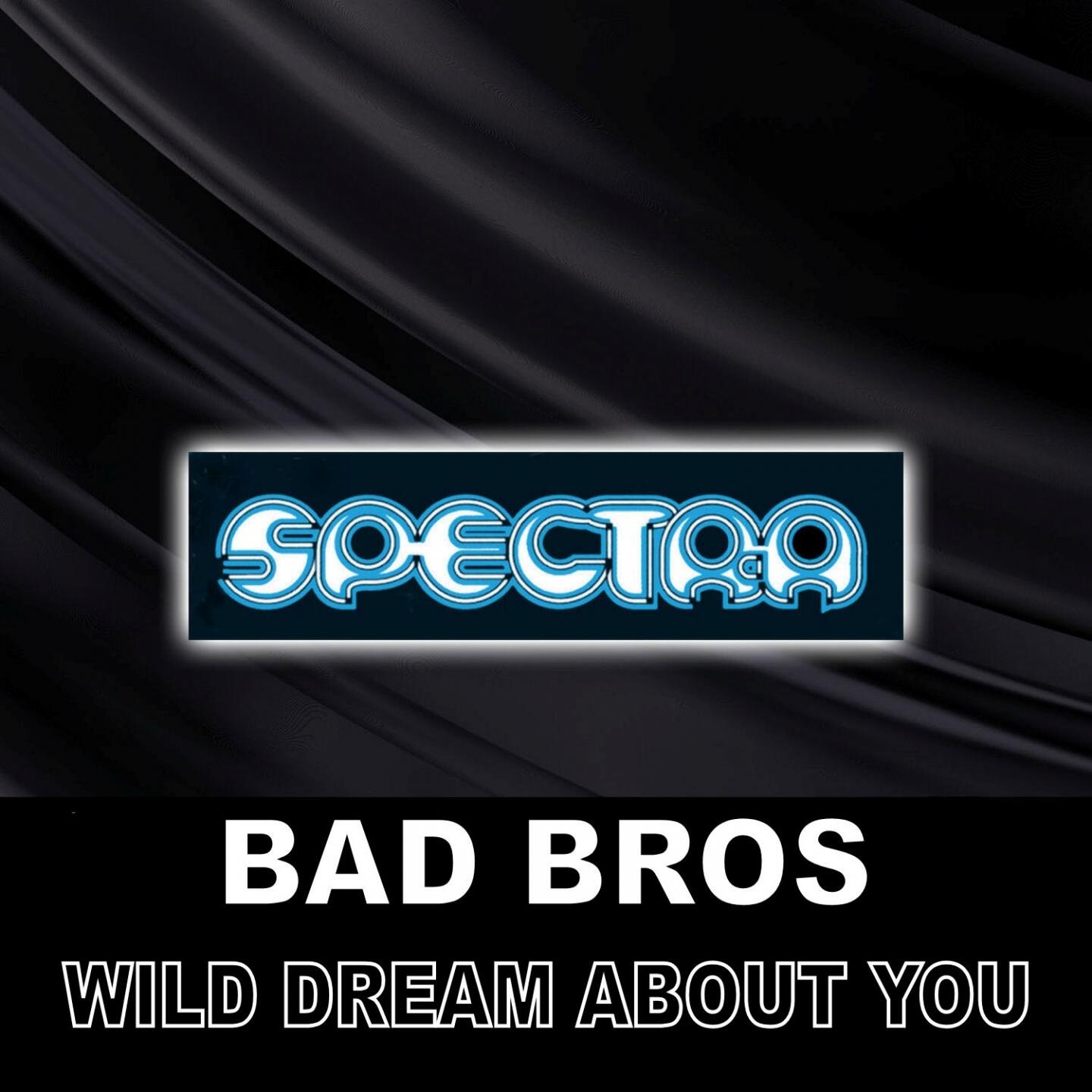 Bad Bros | iHeart