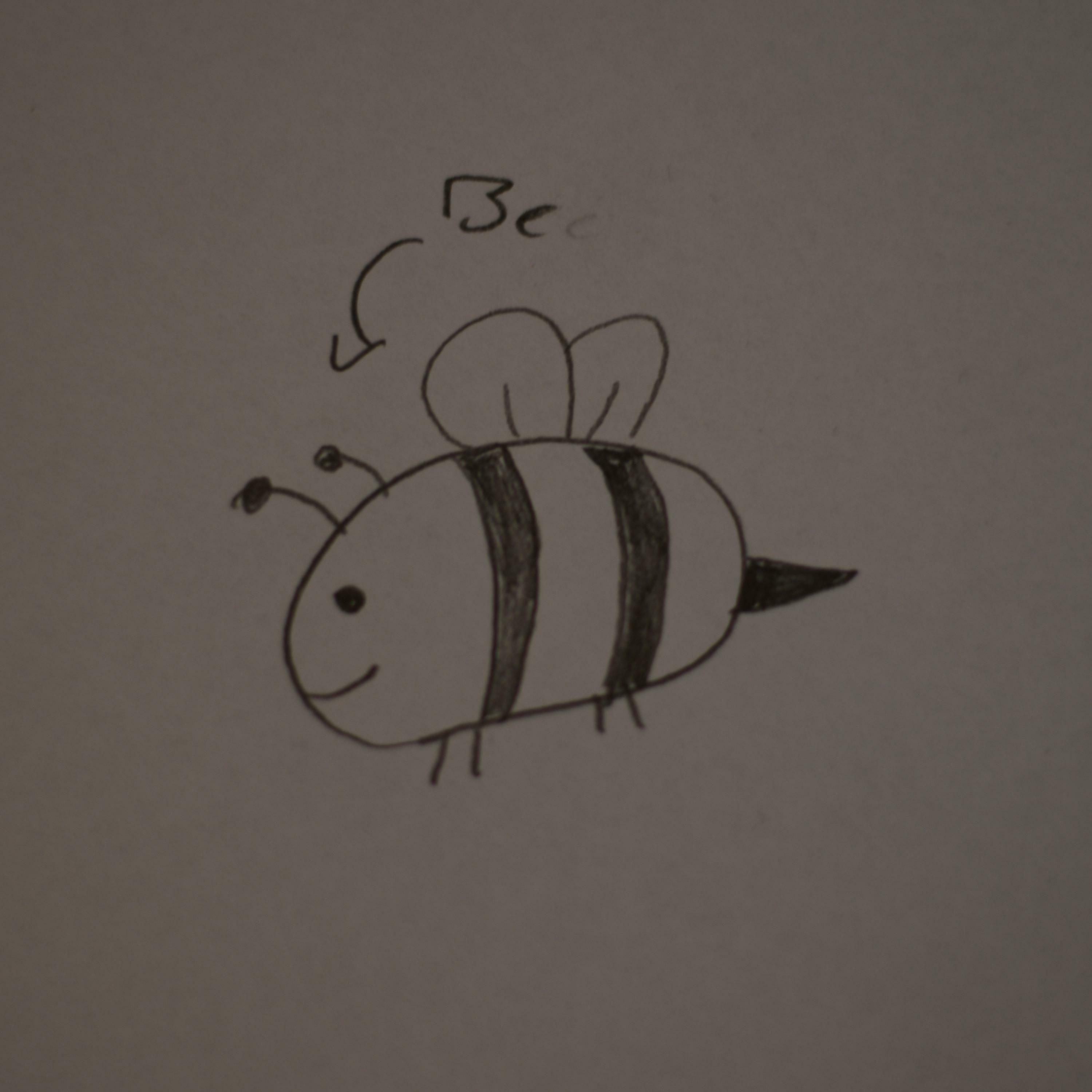 Lucas Howard | iHeart