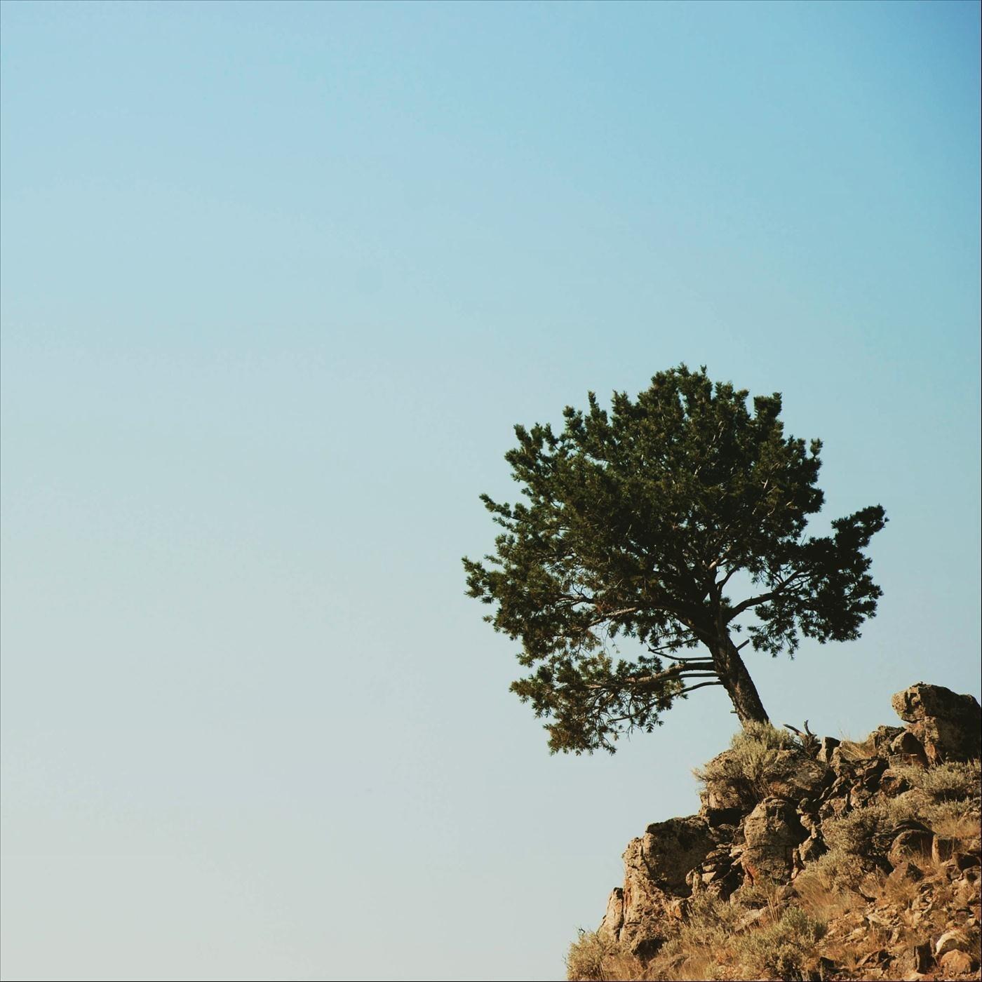 John Conley | iHeart