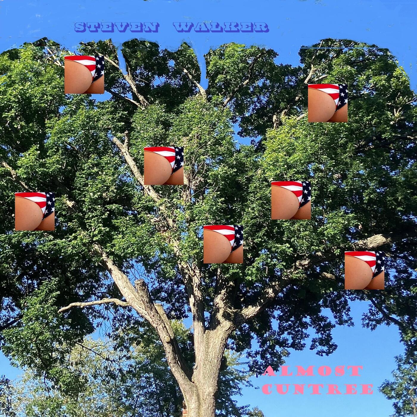 Steven Walker | iHeart