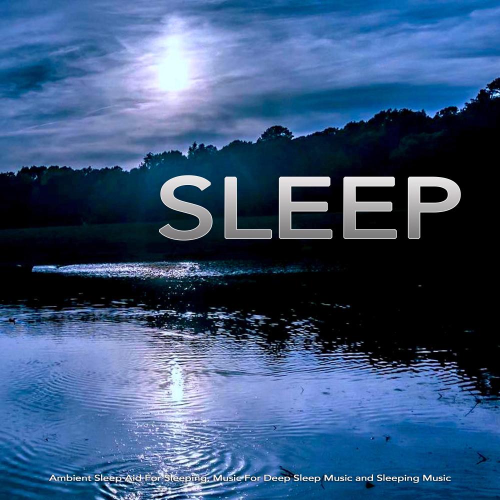Stream Music From Artists Like Sleeping Music Experience Deep Sleep