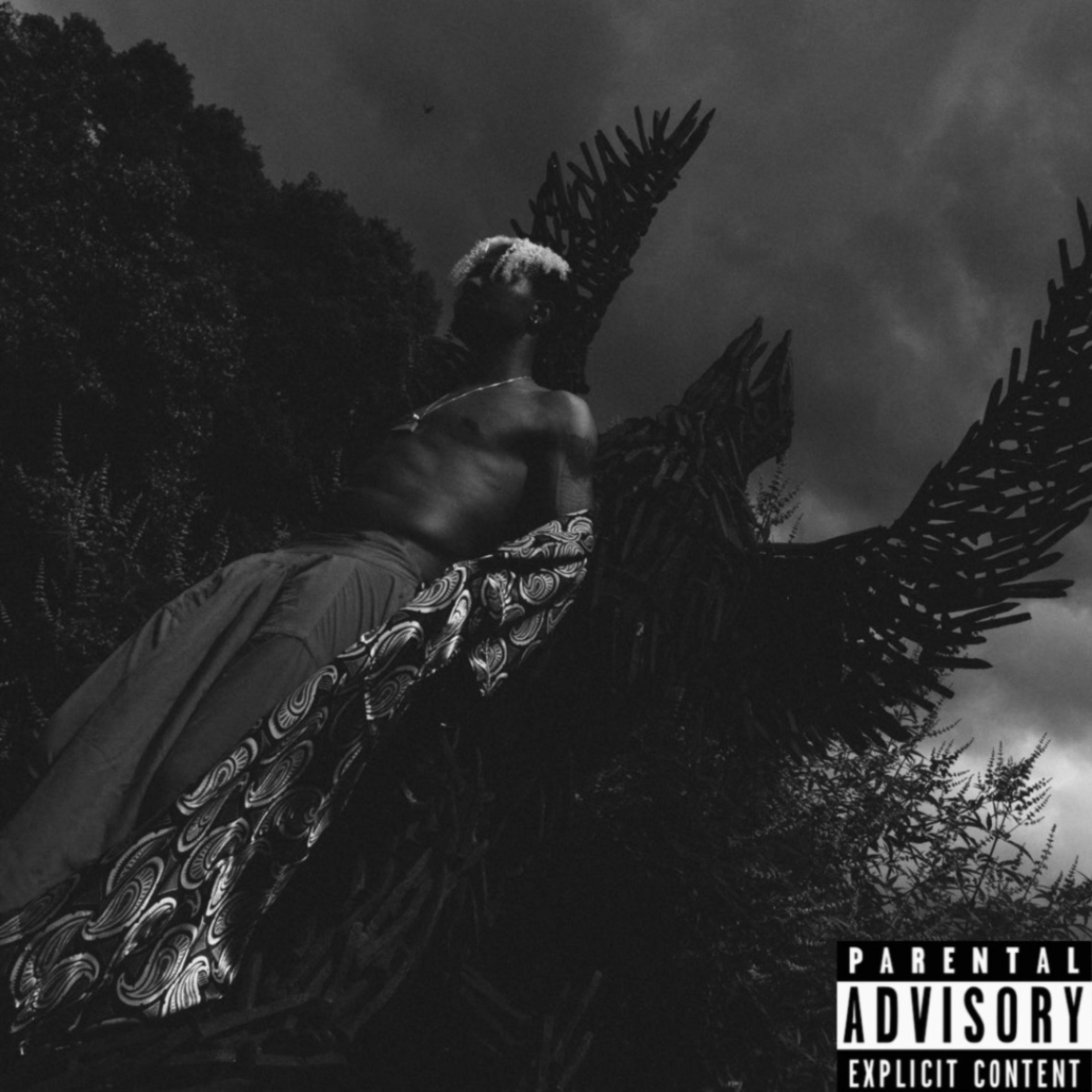 Indigo Phoenix | iHeart