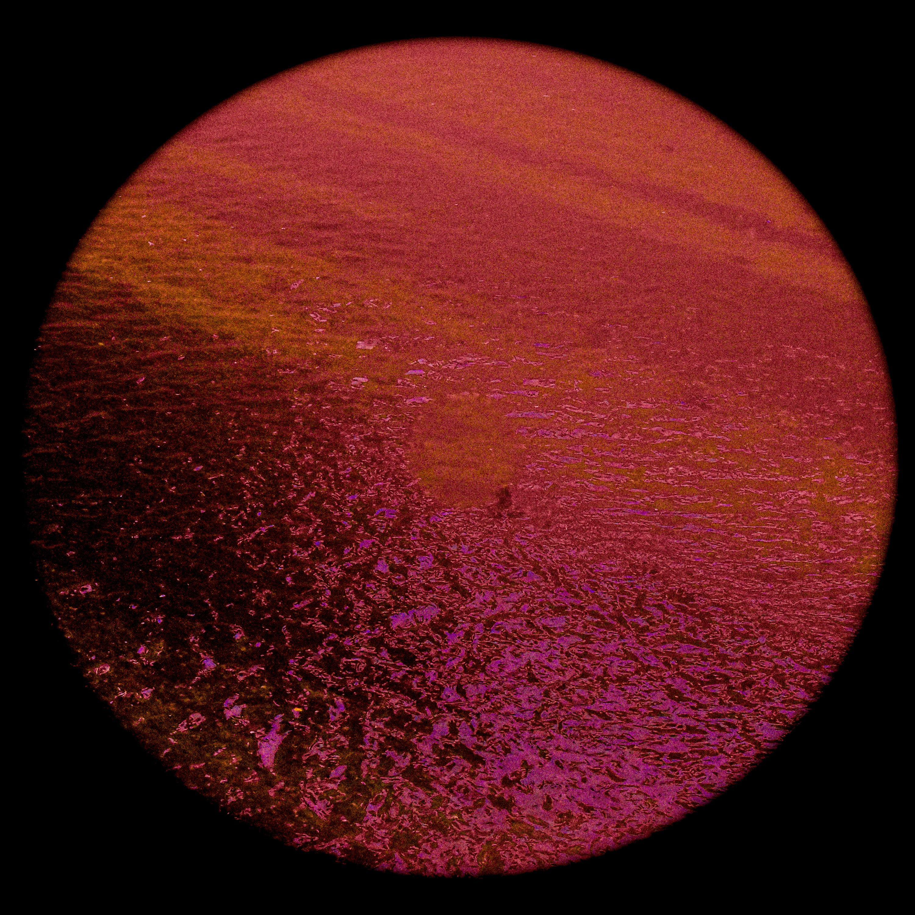 Black Andromedan | iHeart