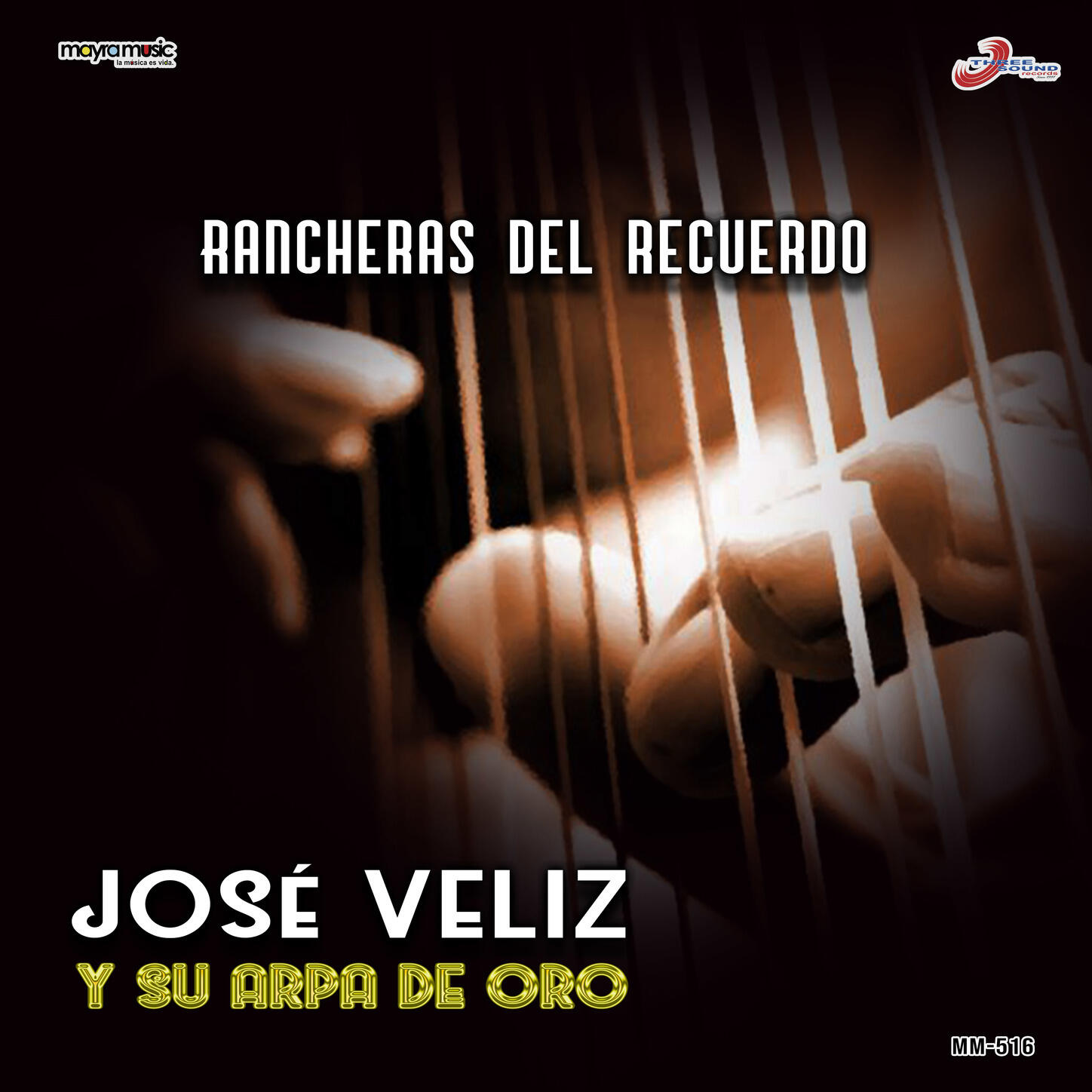 Jose Veliz Y Su Arpa | iHeart