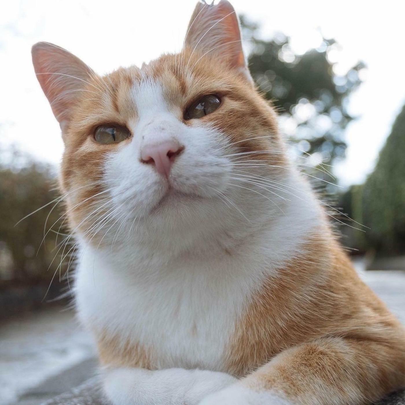 Nadia Putri | iHeart