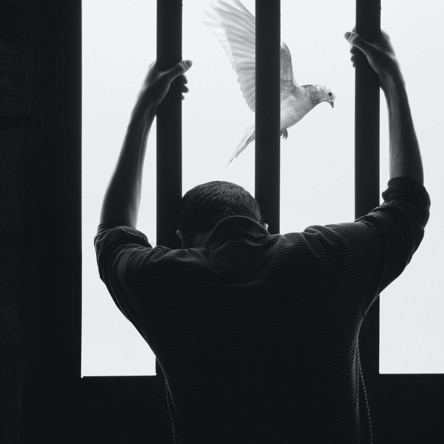 Hanorah Cinders | iHeart