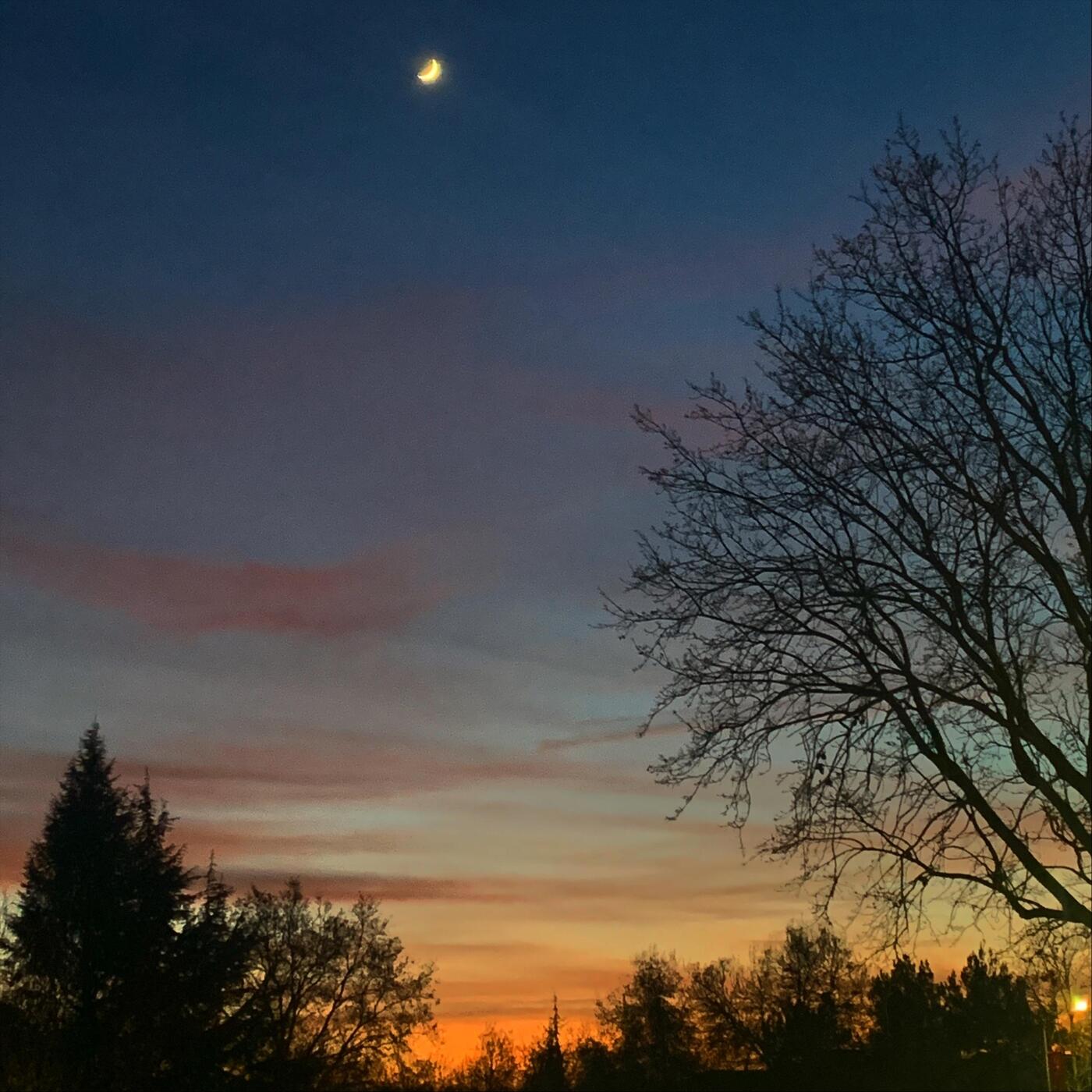 Wren Revised | iHeart