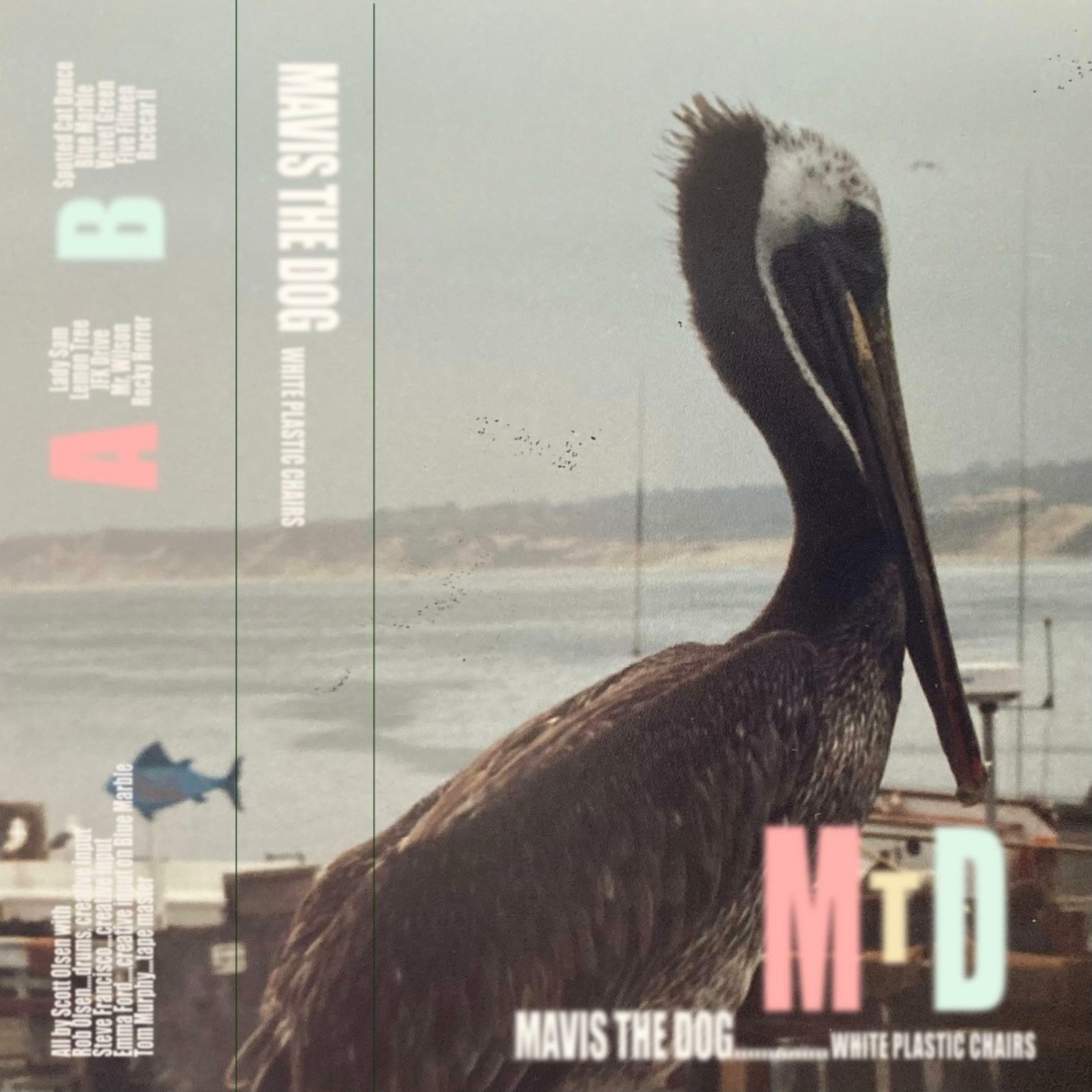 Mavis The Dog | iHeart