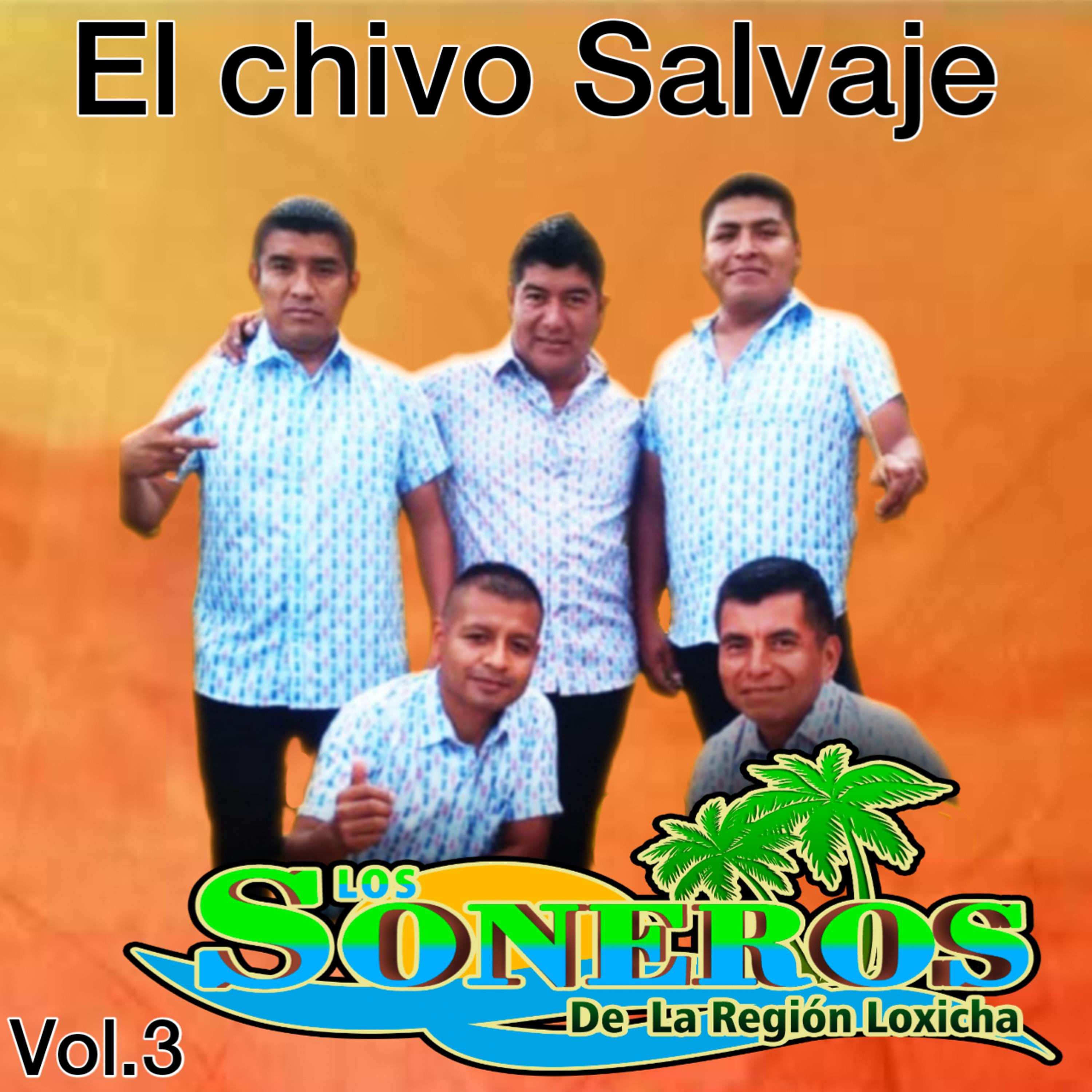Los Soneros De La Región Loxicha | iHeart